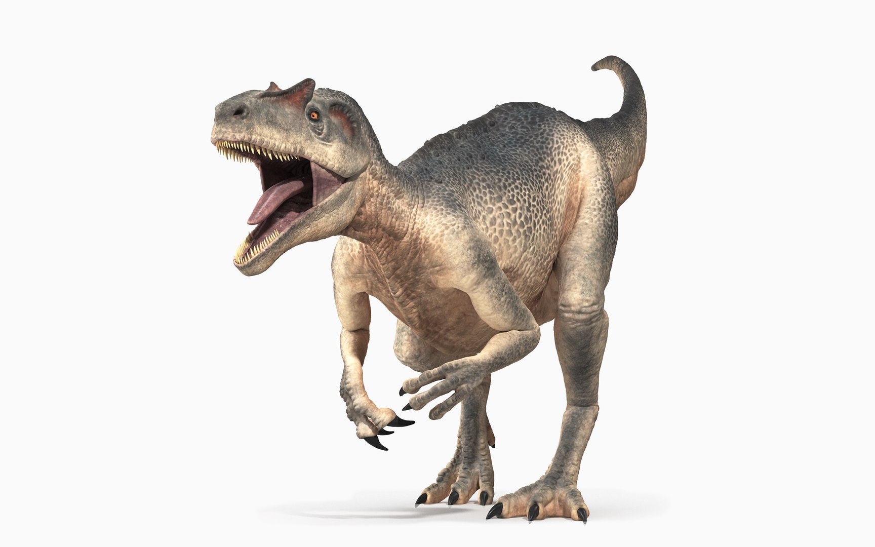 Allosaurus - Rigged And Animated 3D Model - TurboSquid 1761860