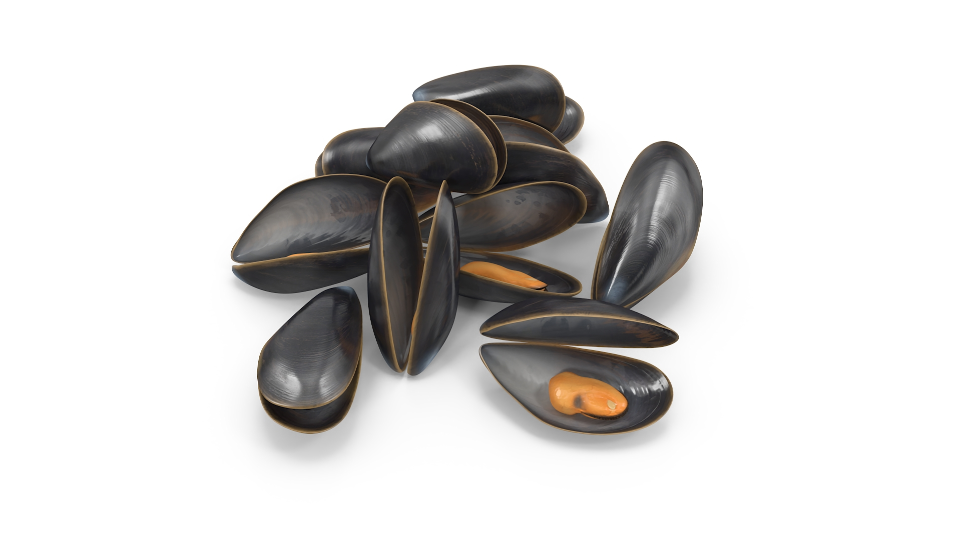 Pile Of Boiled Mussels 3D Model - TurboSquid 2277637