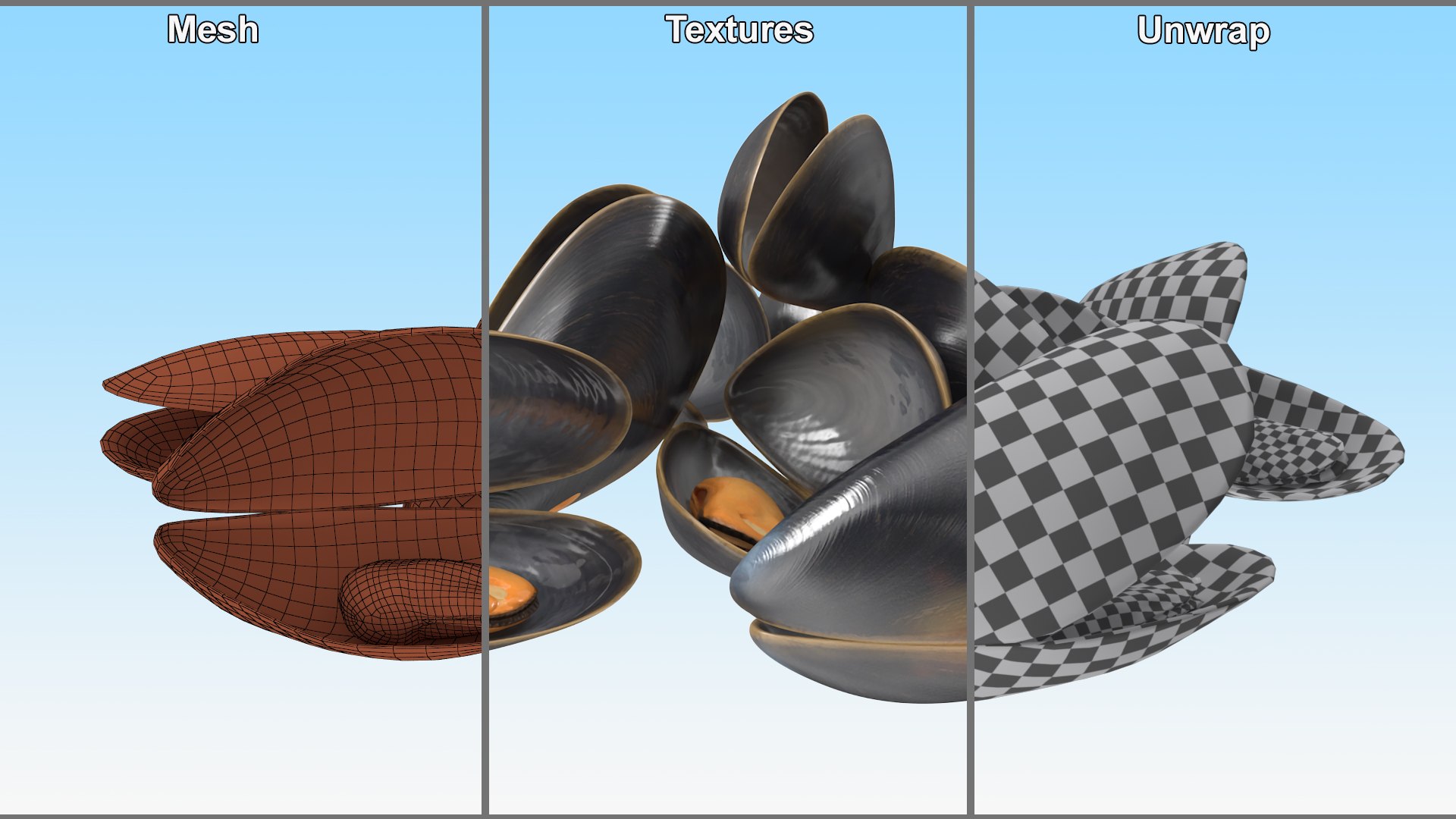 Pile Of Boiled Mussels 3D Model - TurboSquid 2277637