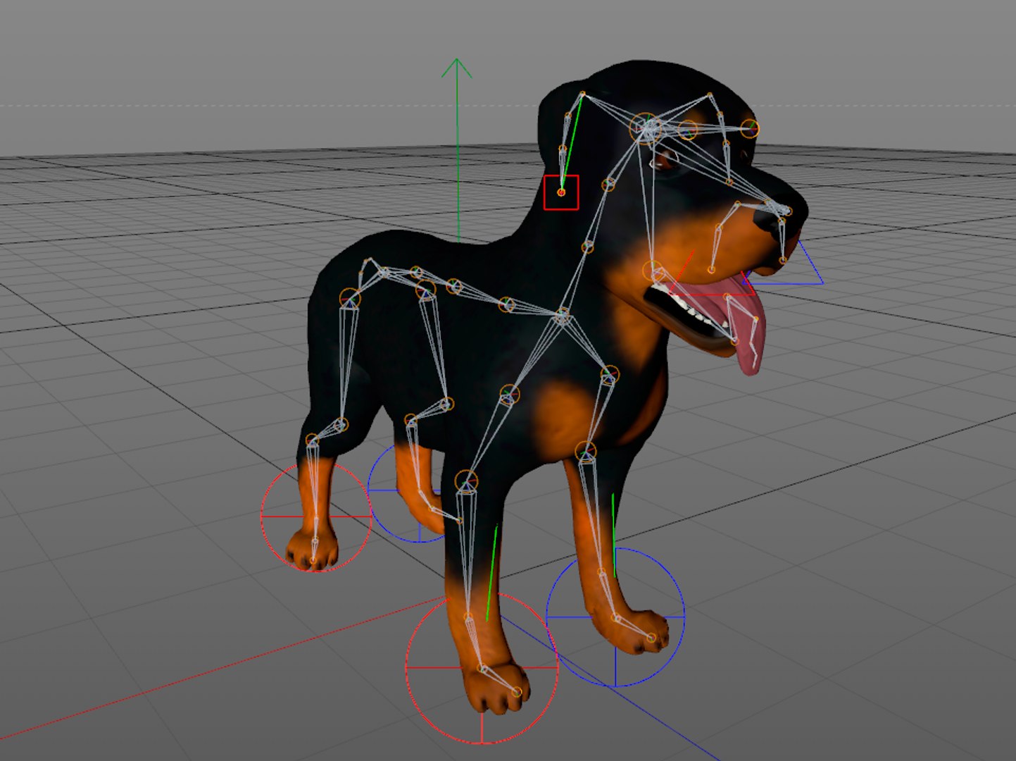3d model dog rottweiler