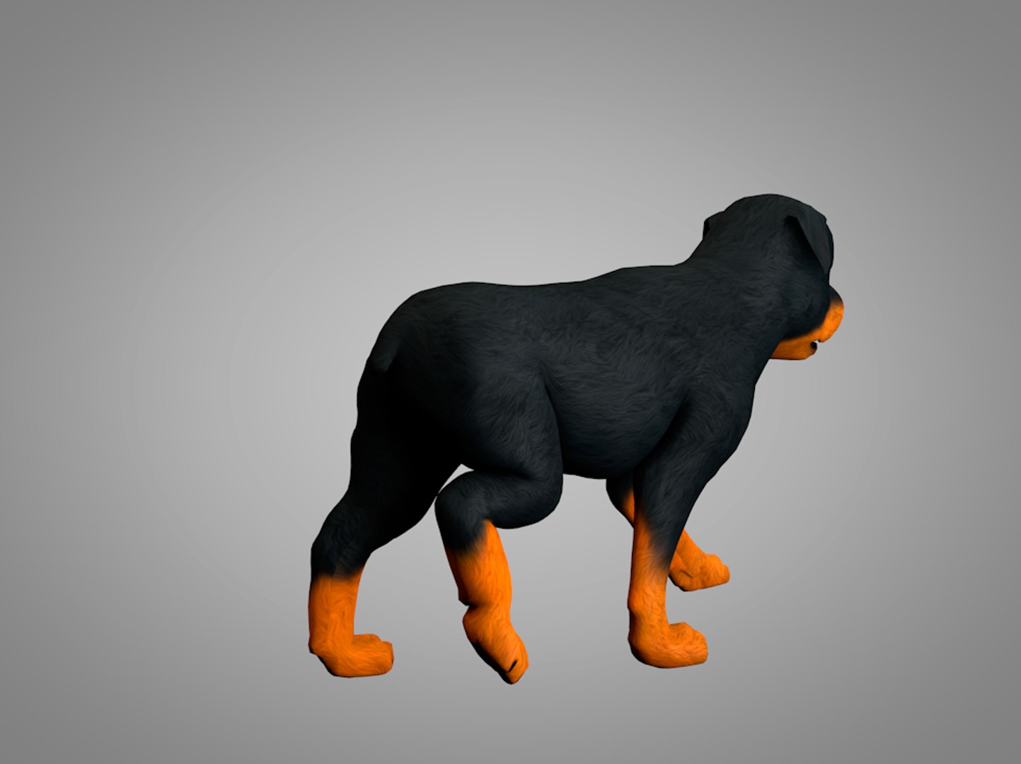 3d model dog rottweiler