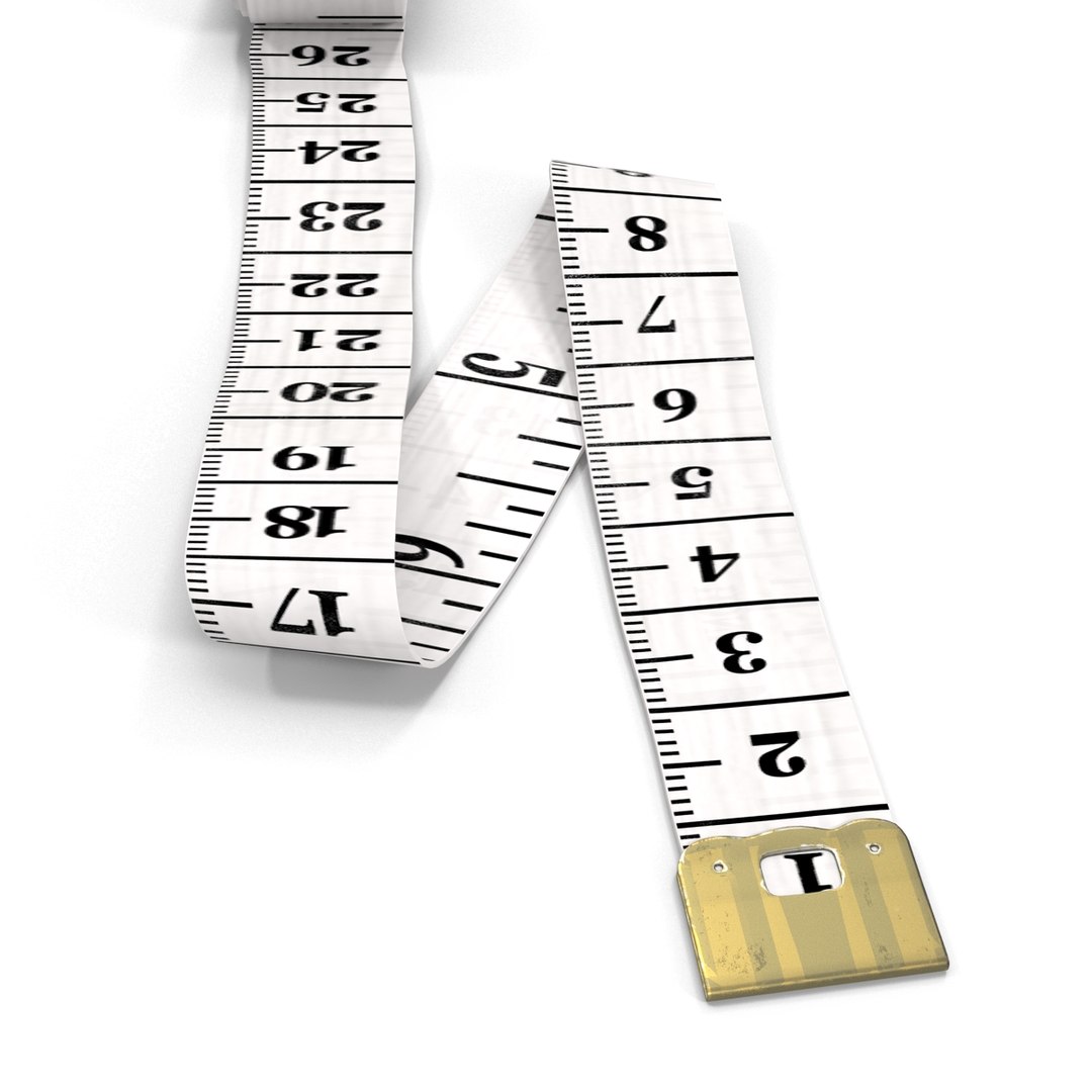 3d Model Tailor Meter 3
