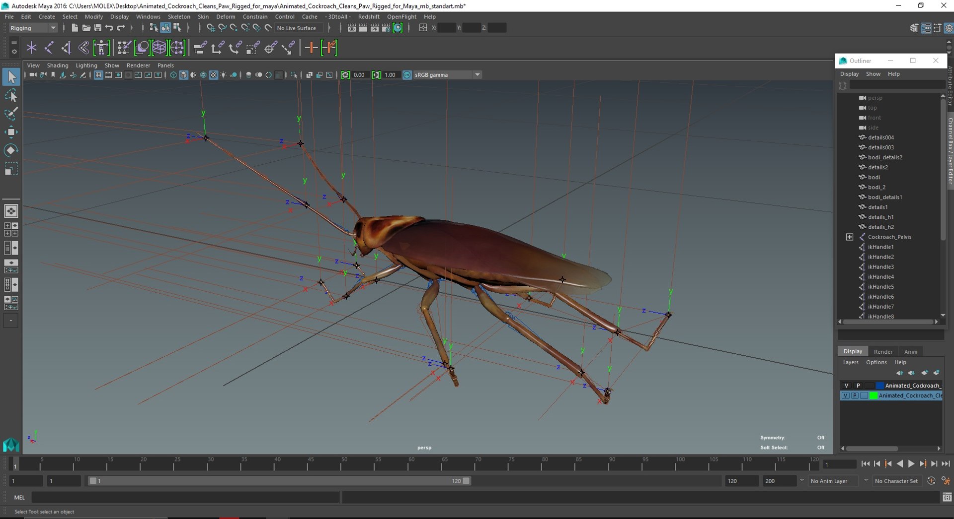 Animated Cockroach Cleans Paw Rigged for Maya 3D model - TurboSquid 2101545