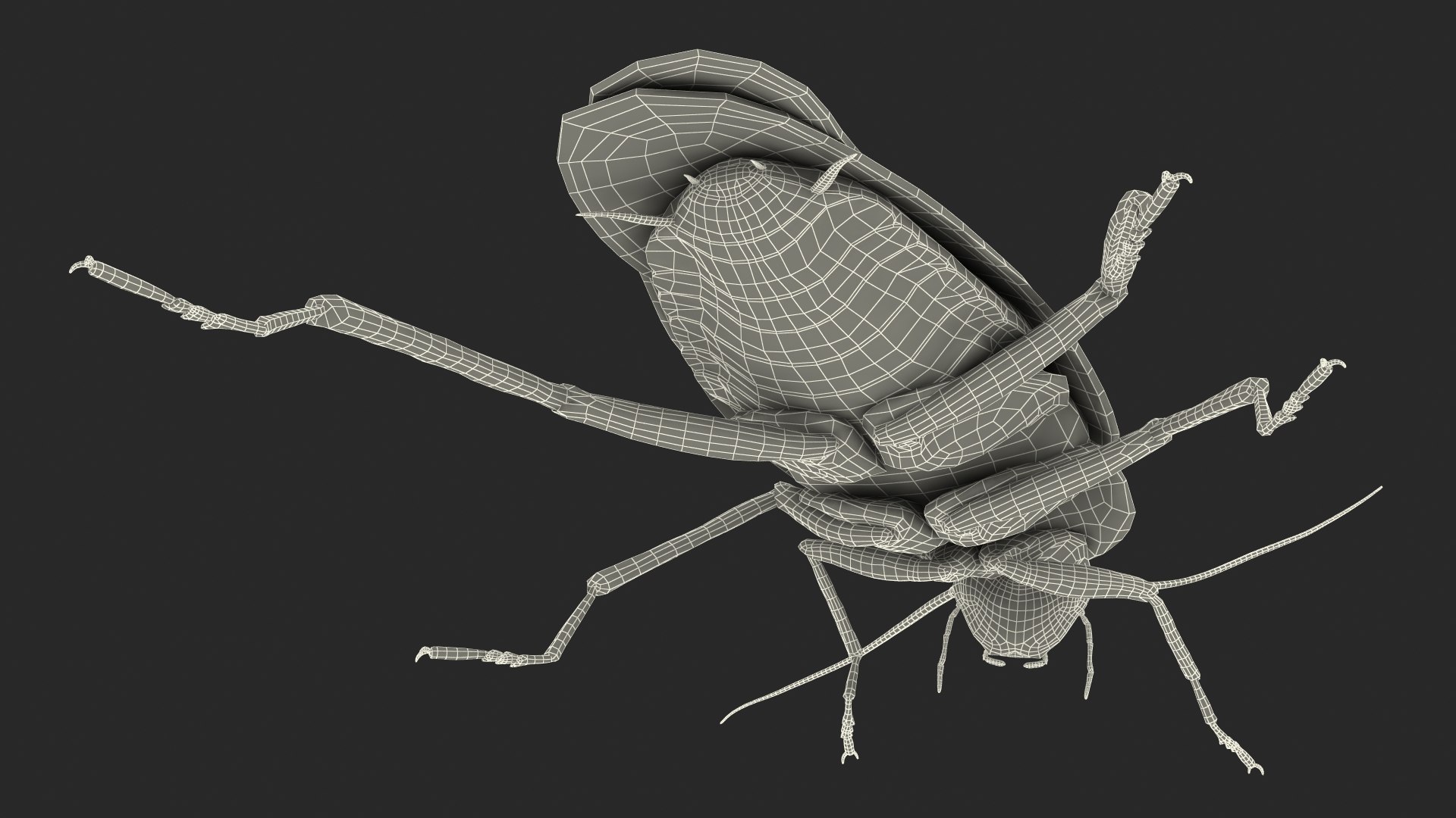 Animated Cockroach Cleans Paw Rigged for Maya 3D model - TurboSquid 2101545