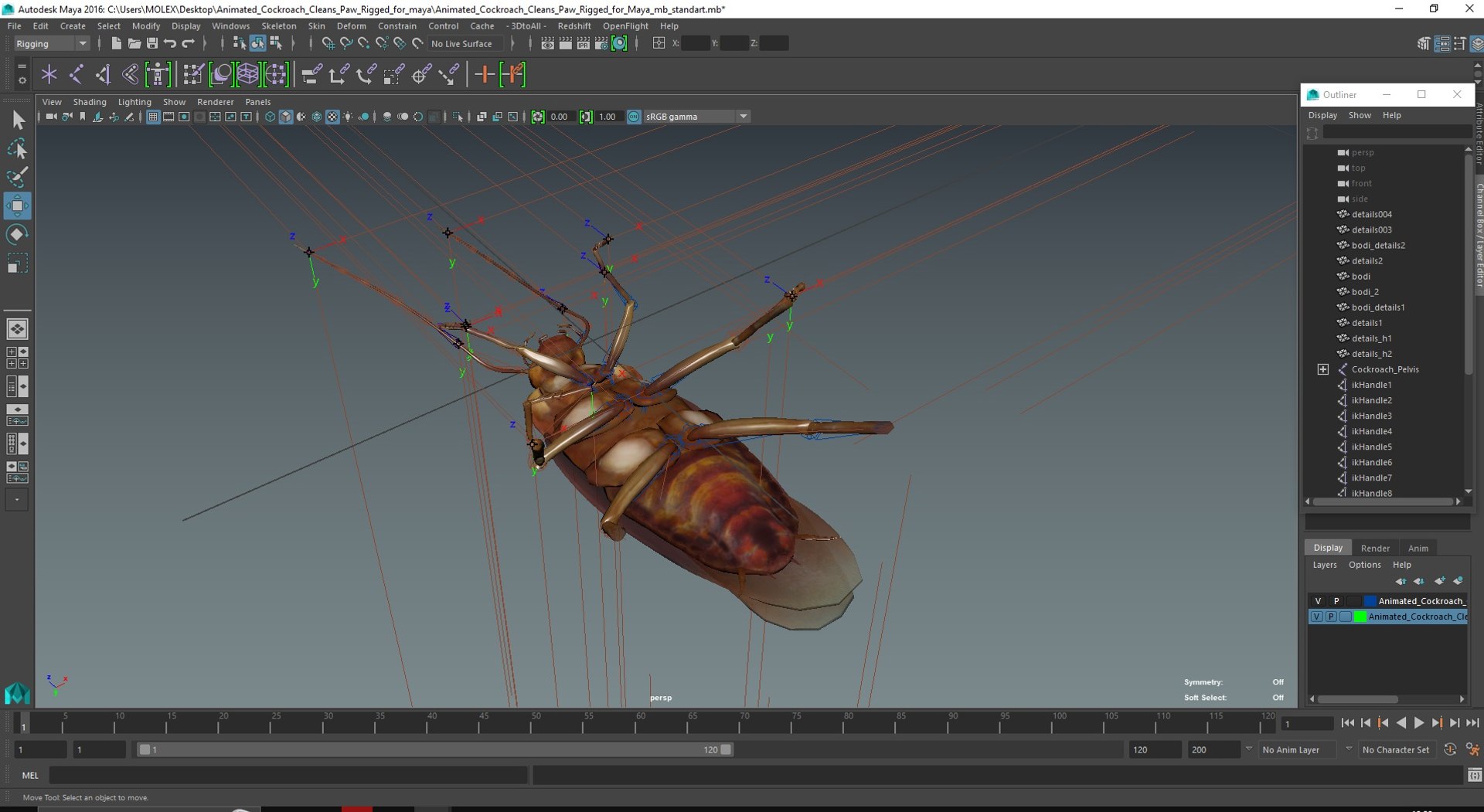 Animated Cockroach Cleans Paw Rigged for Maya 3D model - TurboSquid 2101545
