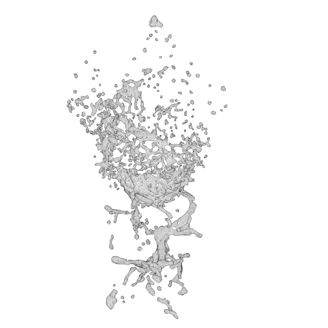 Water Blast Splash 3D - TurboSquid 1438989