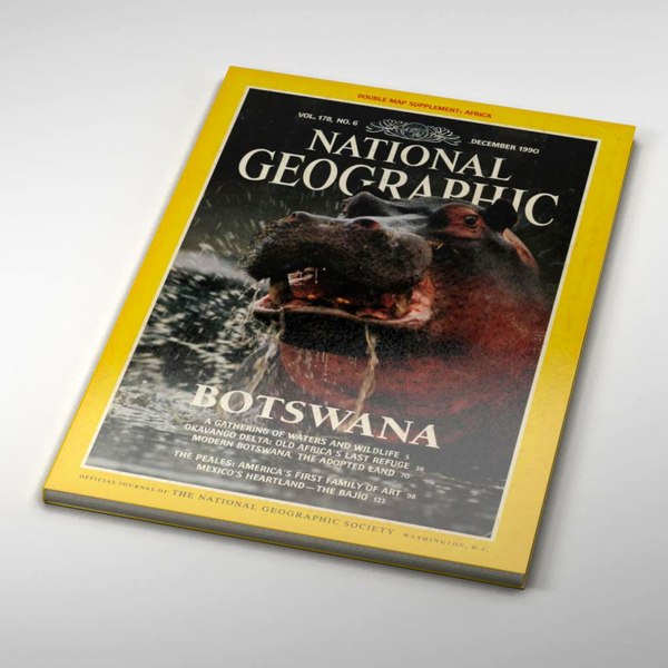 national magazine 3d max