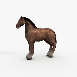 Draft Horse 3D Models for Download | TurboSquid