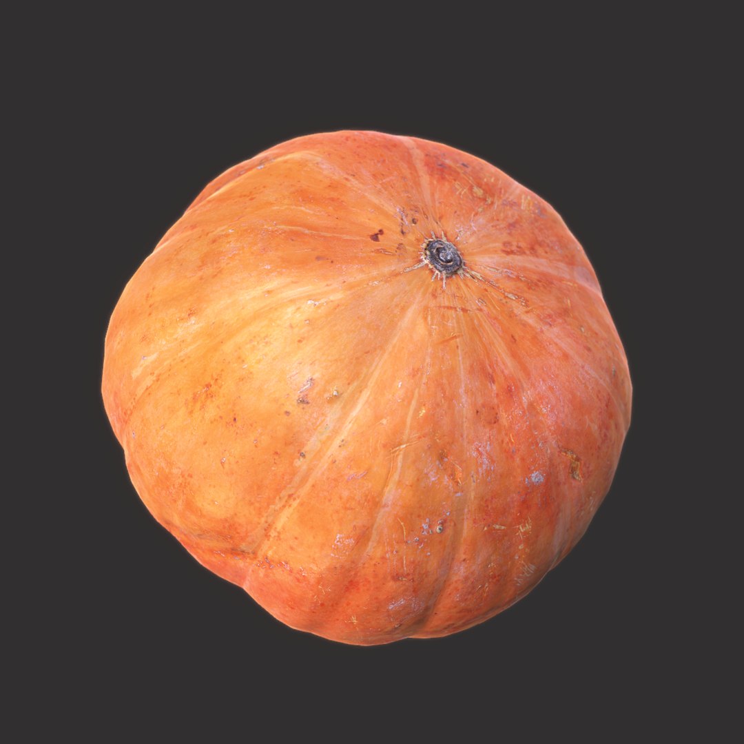 3d pumpkin scan model