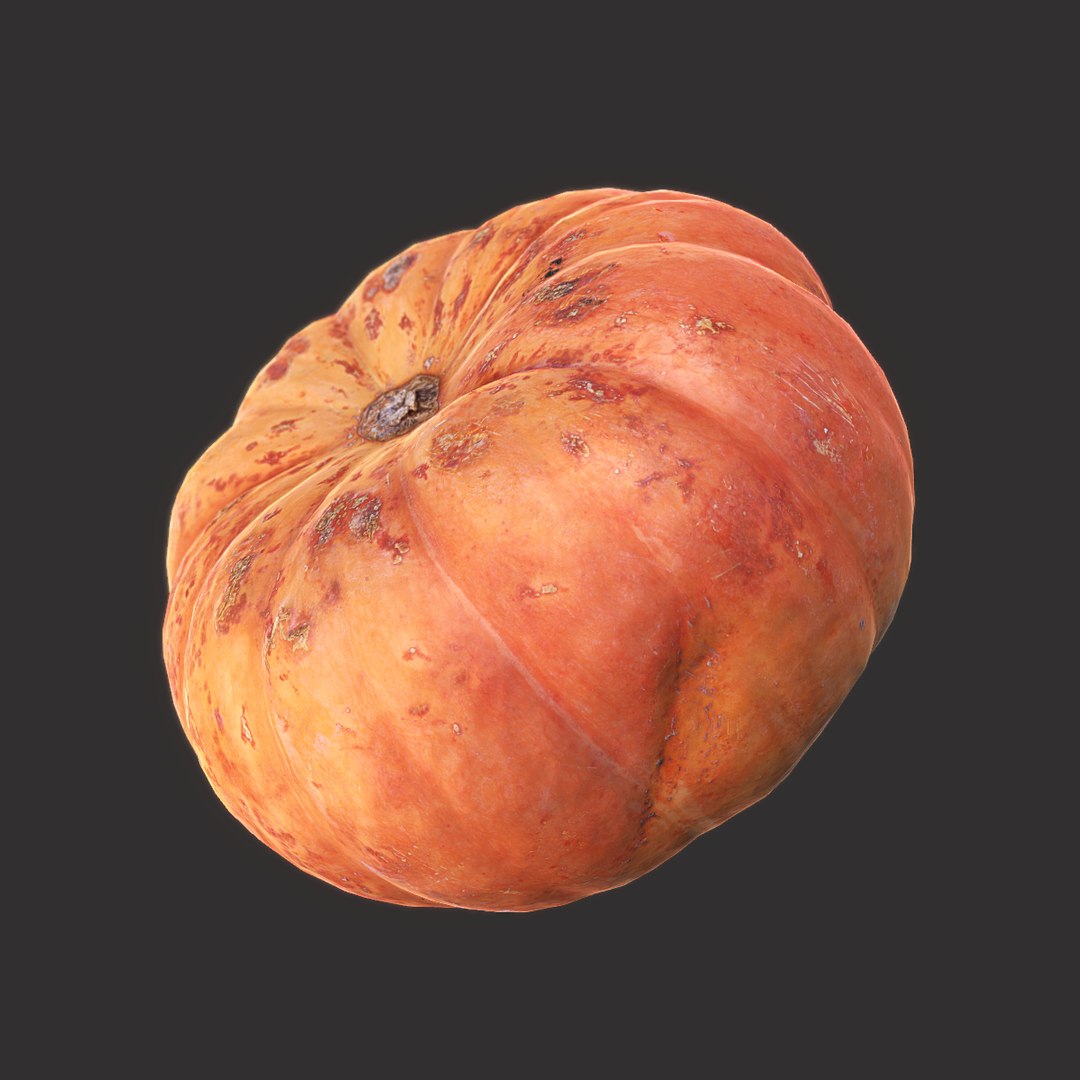 3d pumpkin scan model