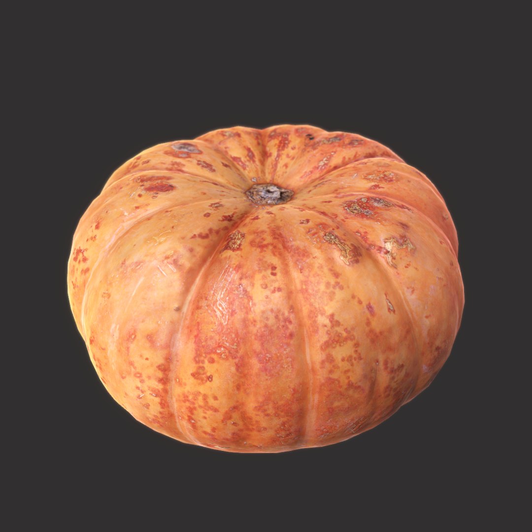3d pumpkin scan model