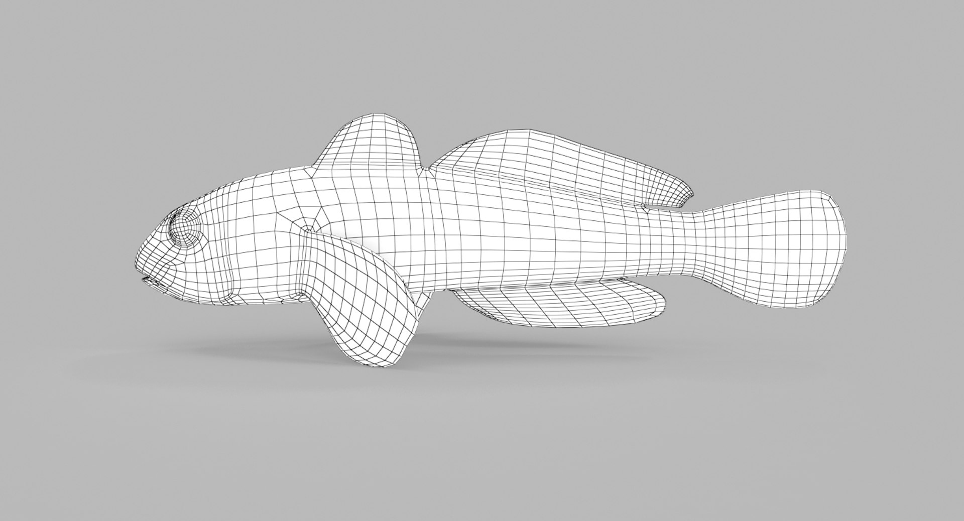 Goby 3D Model - TurboSquid 1231036