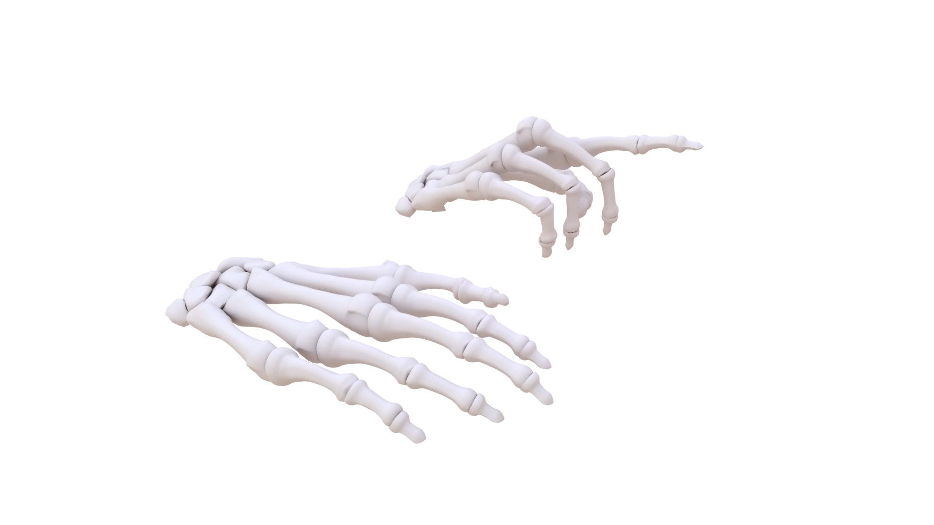 Cartoon Hand Bone Skeleton 3D - TurboSquid 1981639