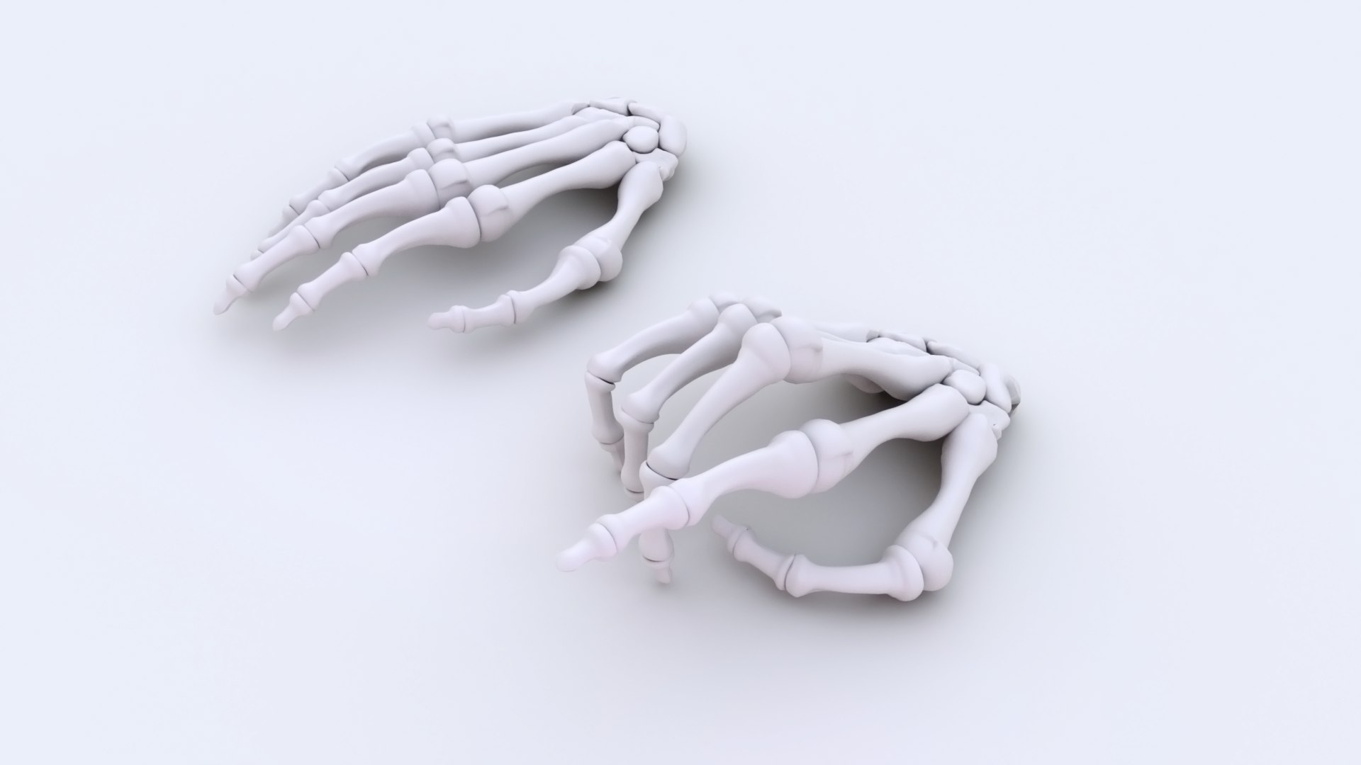 Cartoon Hand Bone Skeleton 3D - TurboSquid 1981639