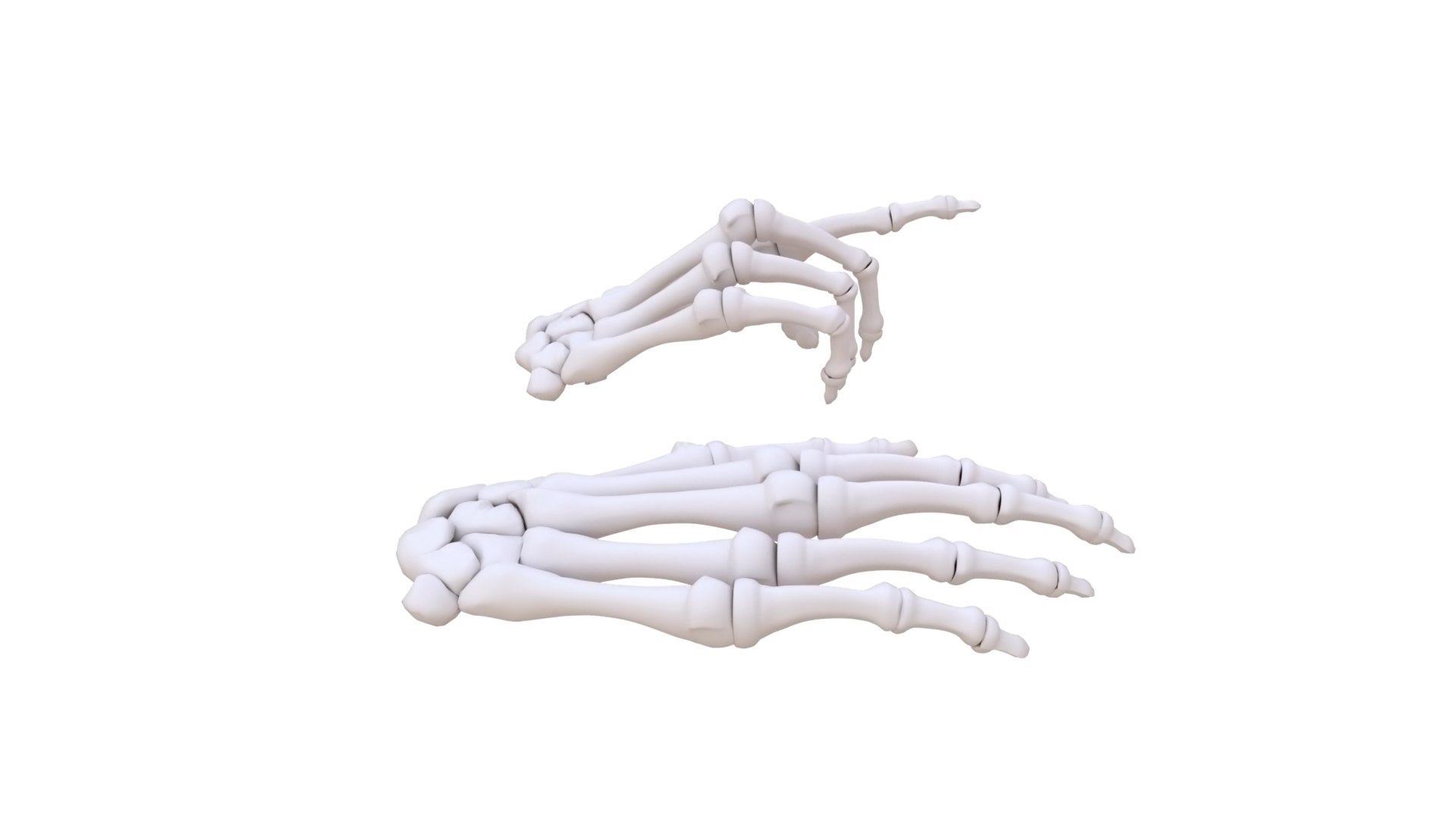 Cartoon Hand Bone Skeleton 3D - TurboSquid 1981639