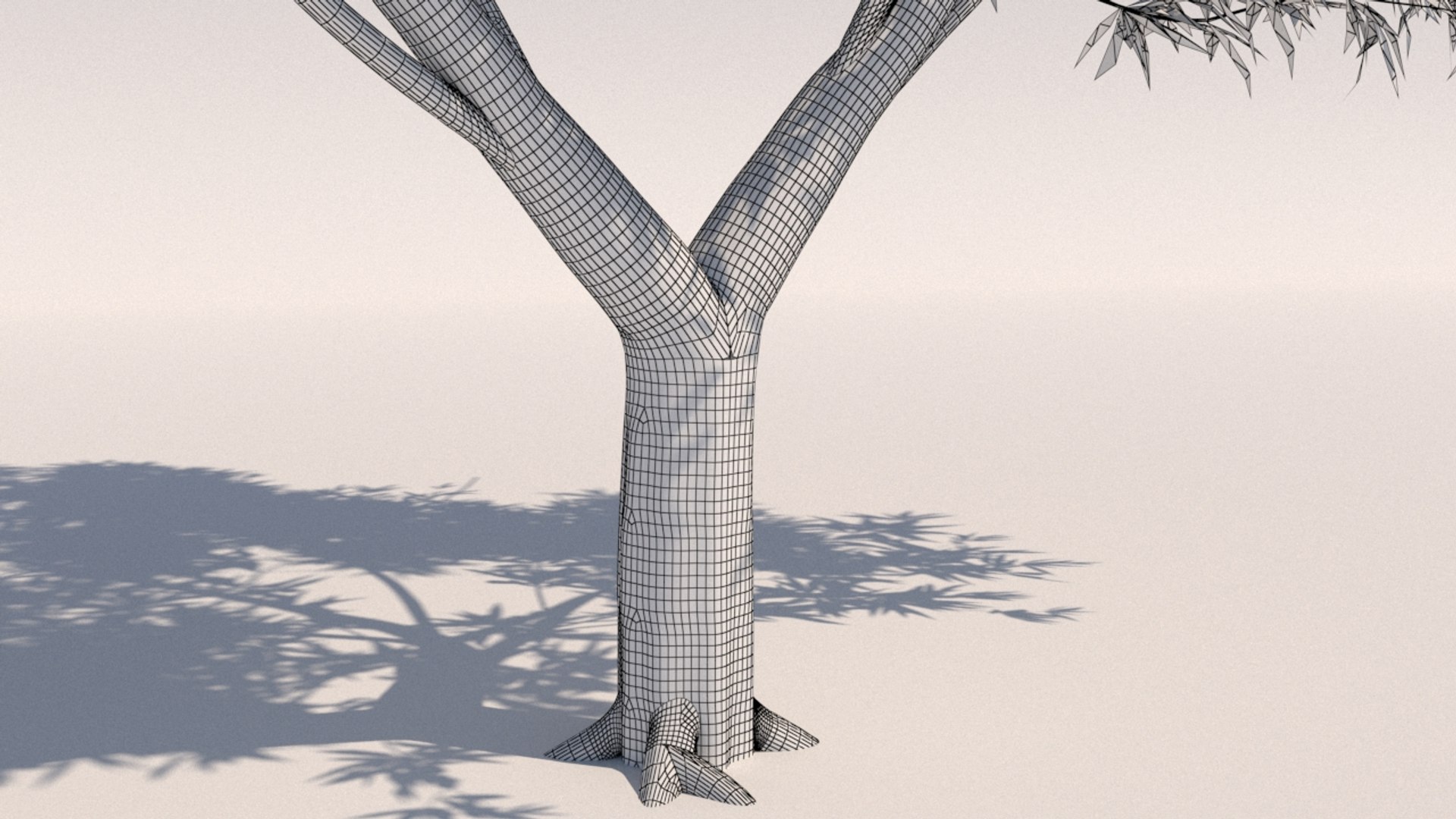 olive tree pack olea max