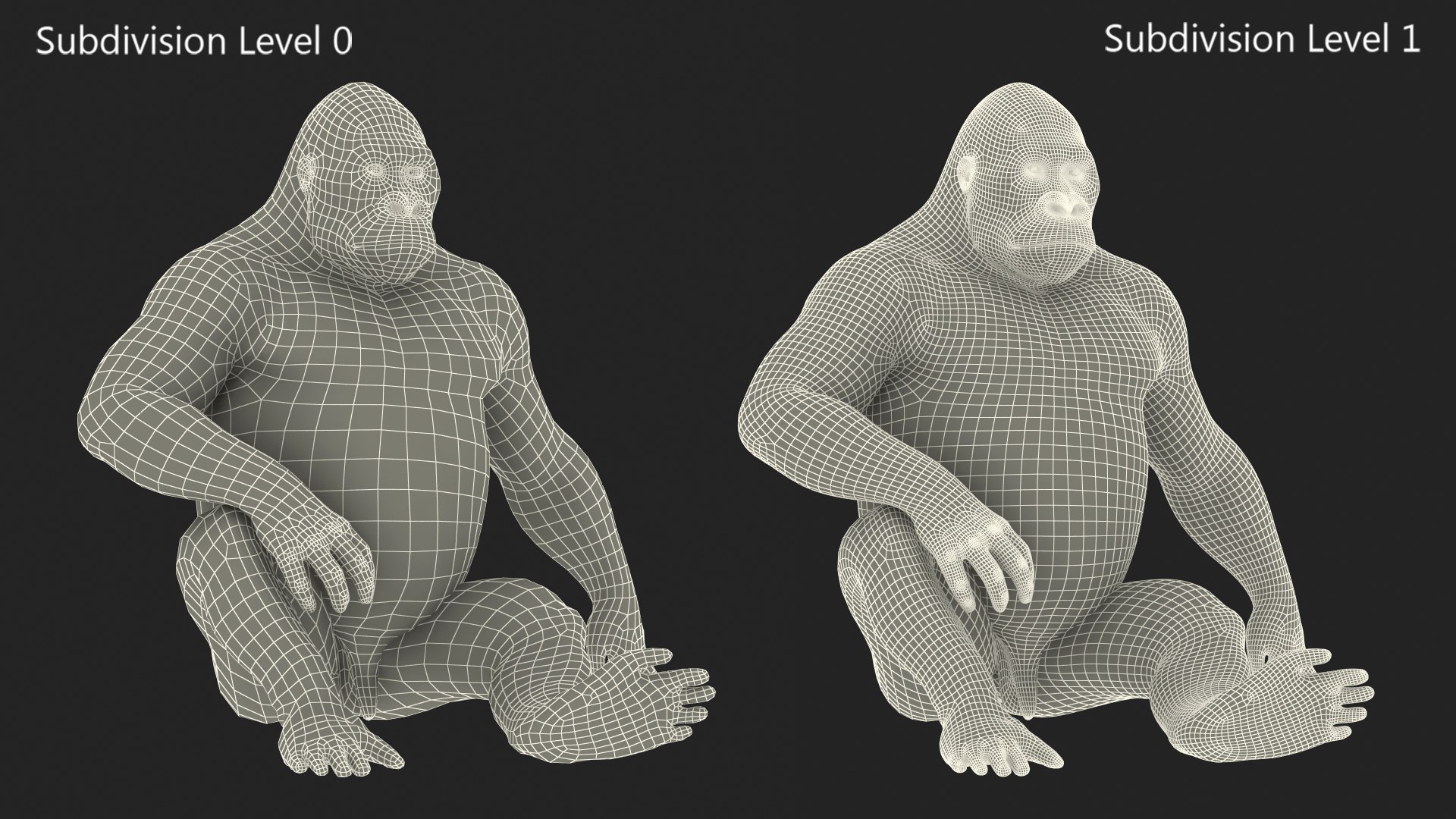 3D Eastern Gorilla Sitting Pose Fur Model - TurboSquid 2193348