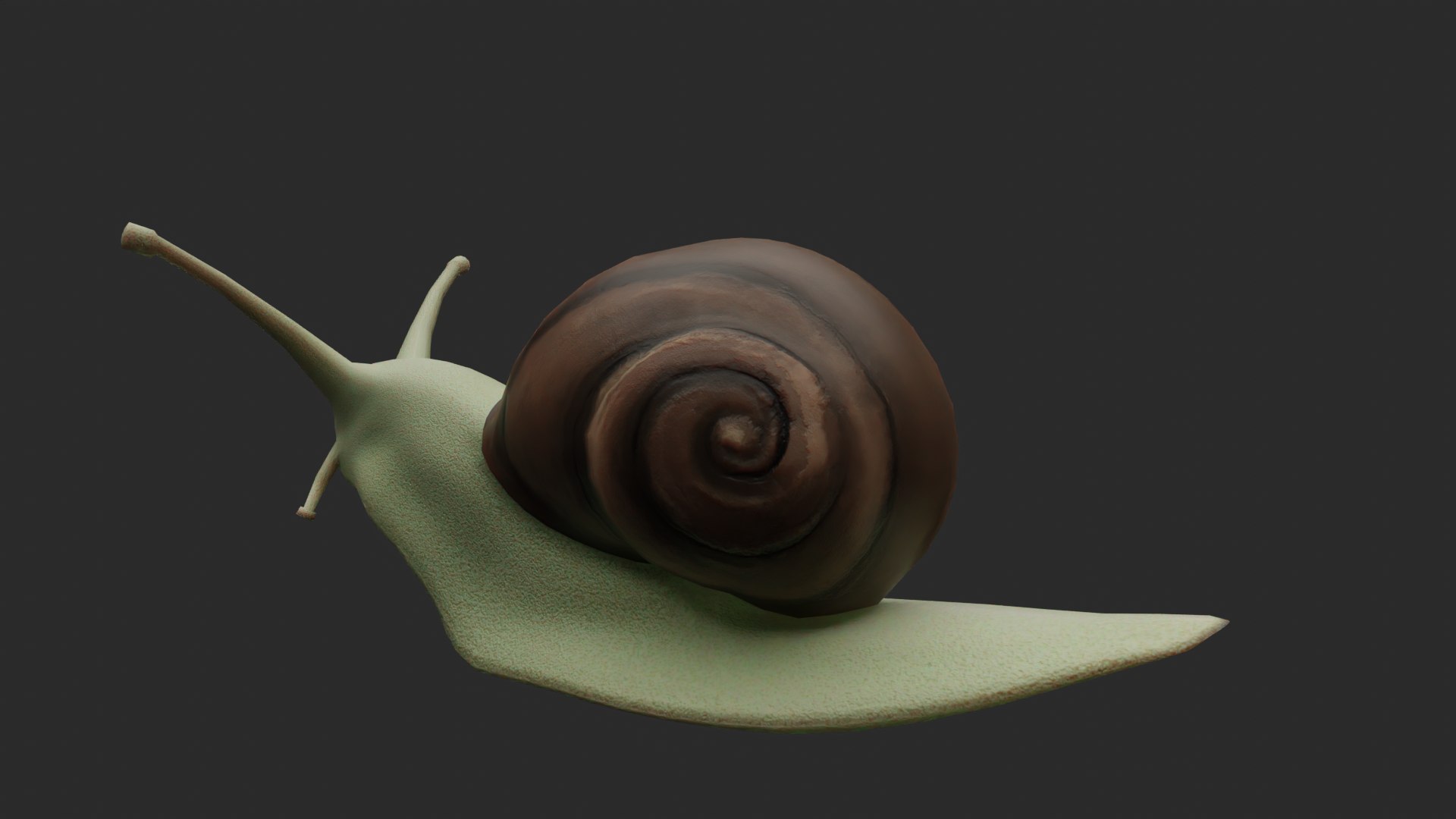 Snail 3D Model - TurboSquid 2171836