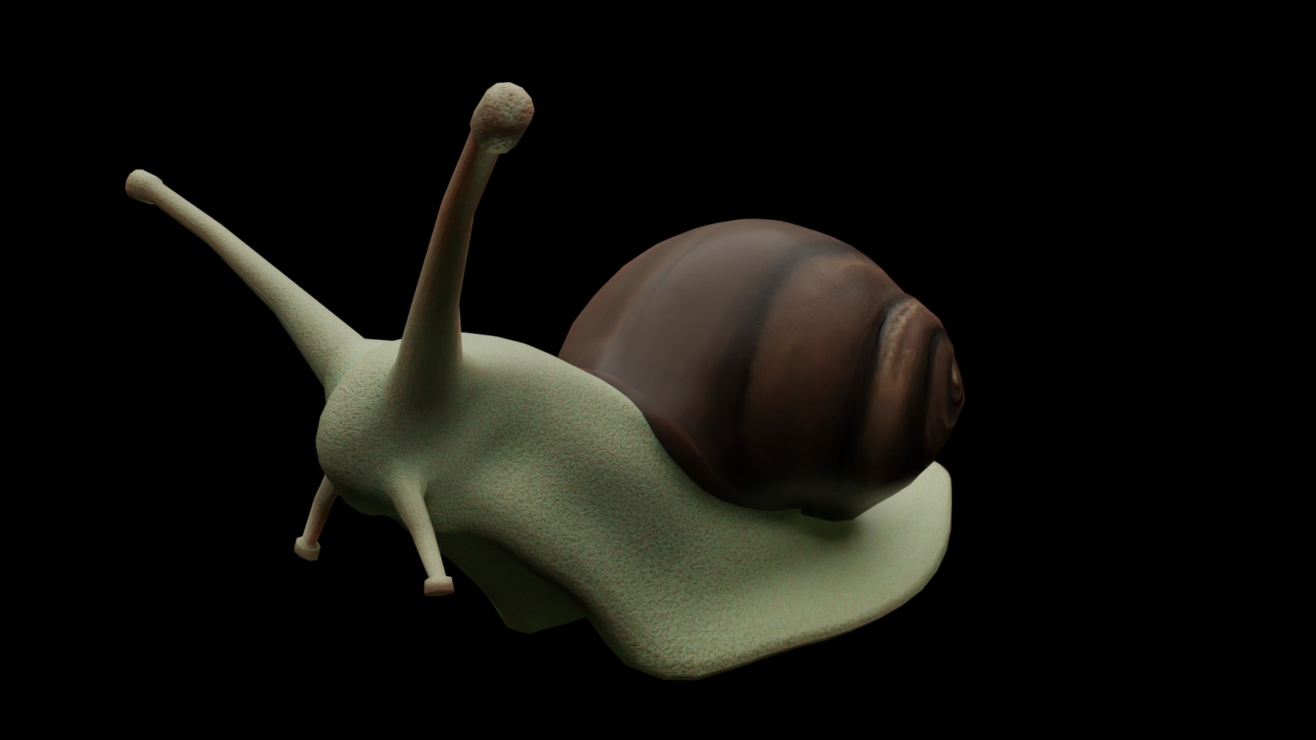Snail 3D Model - TurboSquid 2171836