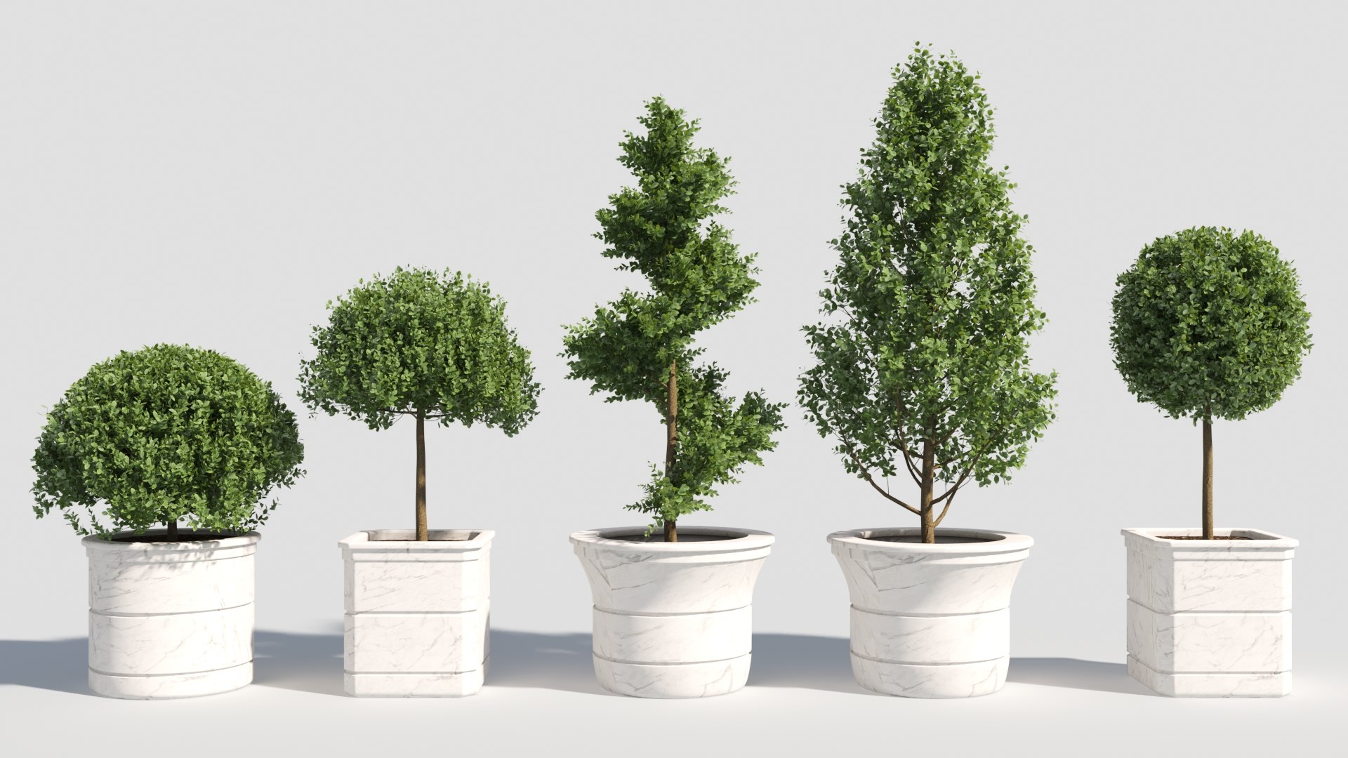 Buxus 3D Model - TurboSquid 1903433
