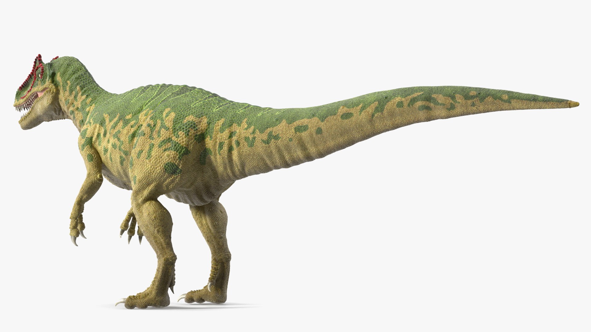 Allosaurus Green Coloring Rigged For Cinema 4D 3D Model - TurboSquid ...