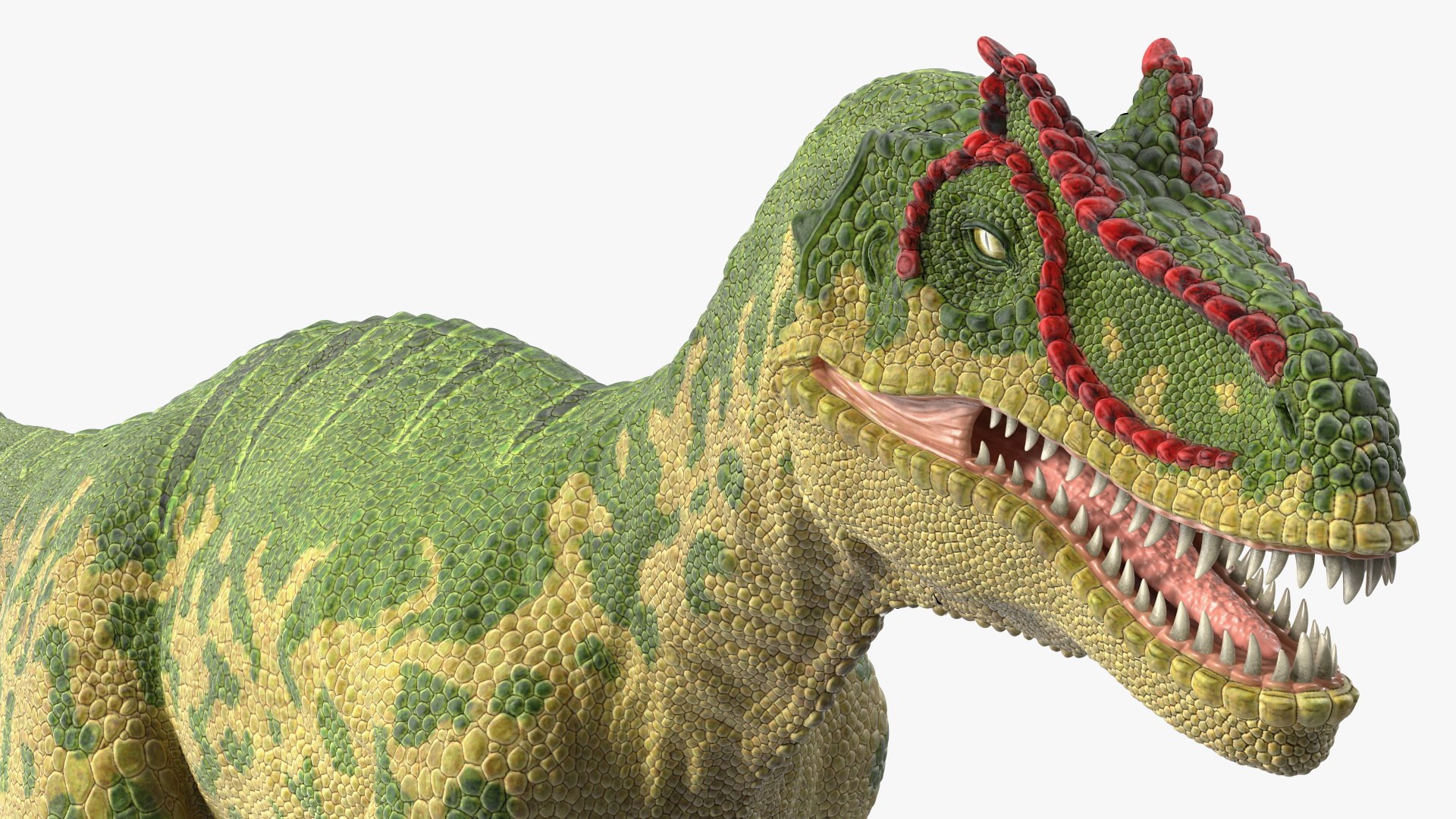 Allosaurus Green Coloring Rigged For Cinema 4D 3D Model - TurboSquid ...