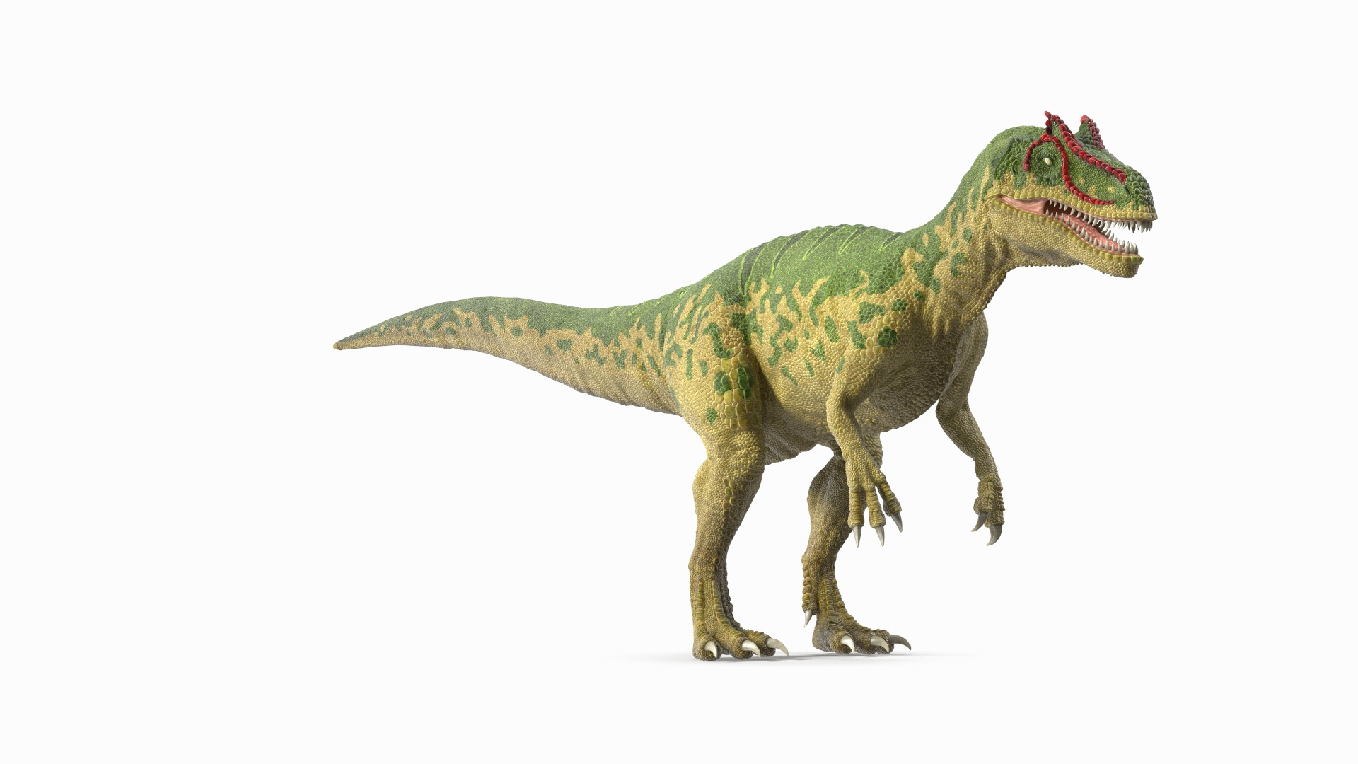 Allosaurus Green Coloring Rigged For Cinema 4D 3D Model - TurboSquid 2168195