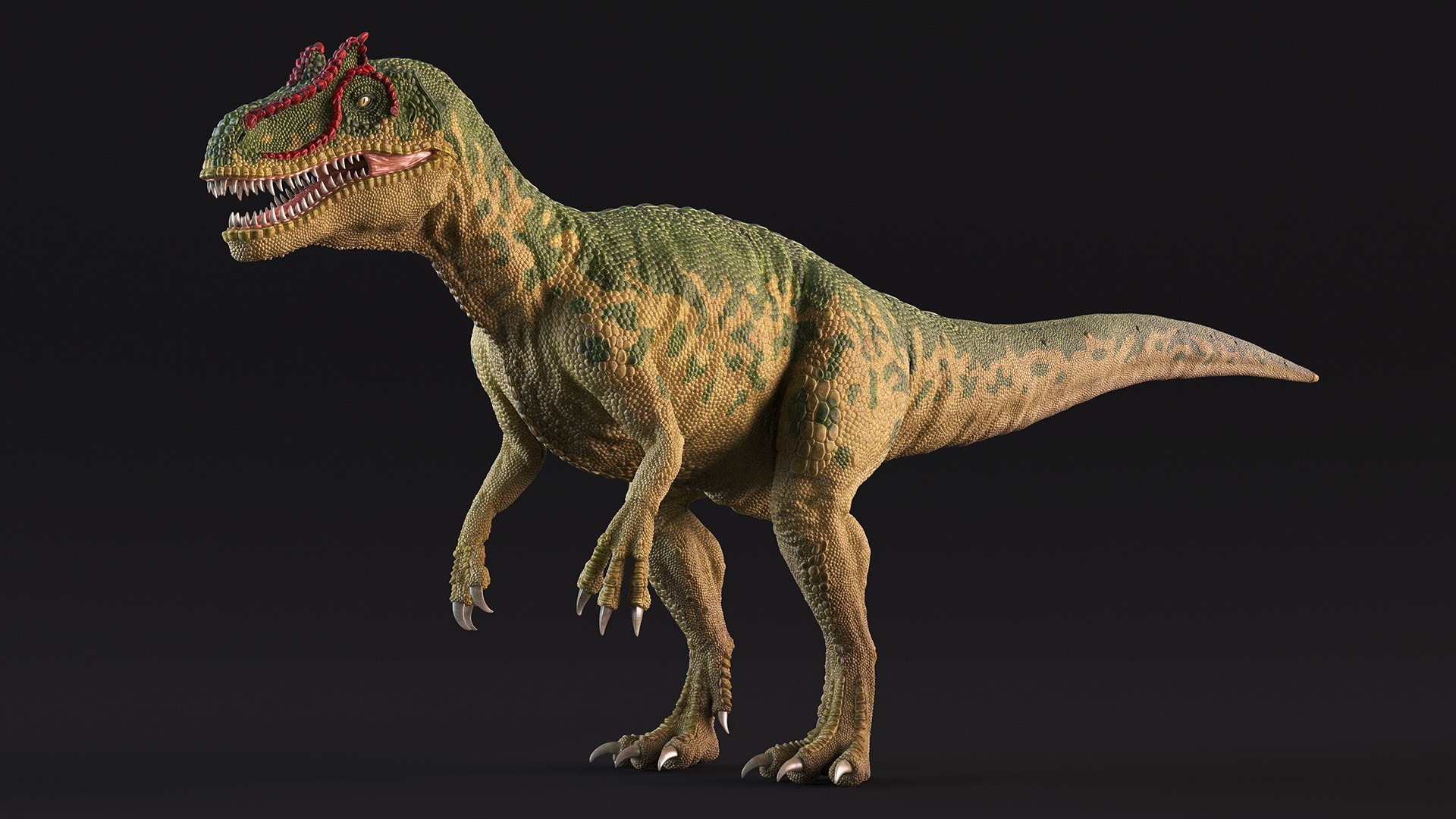 Allosaurus Green Coloring Rigged For Cinema 4D 3D Model - TurboSquid ...