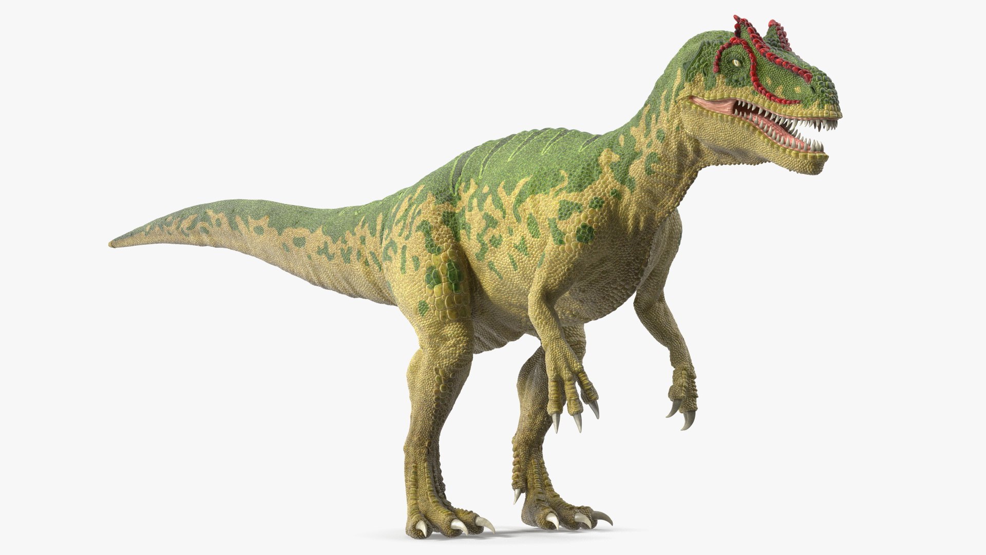 Allosaurus Green Coloring Rigged For Cinema 4D 3D Model - TurboSquid ...