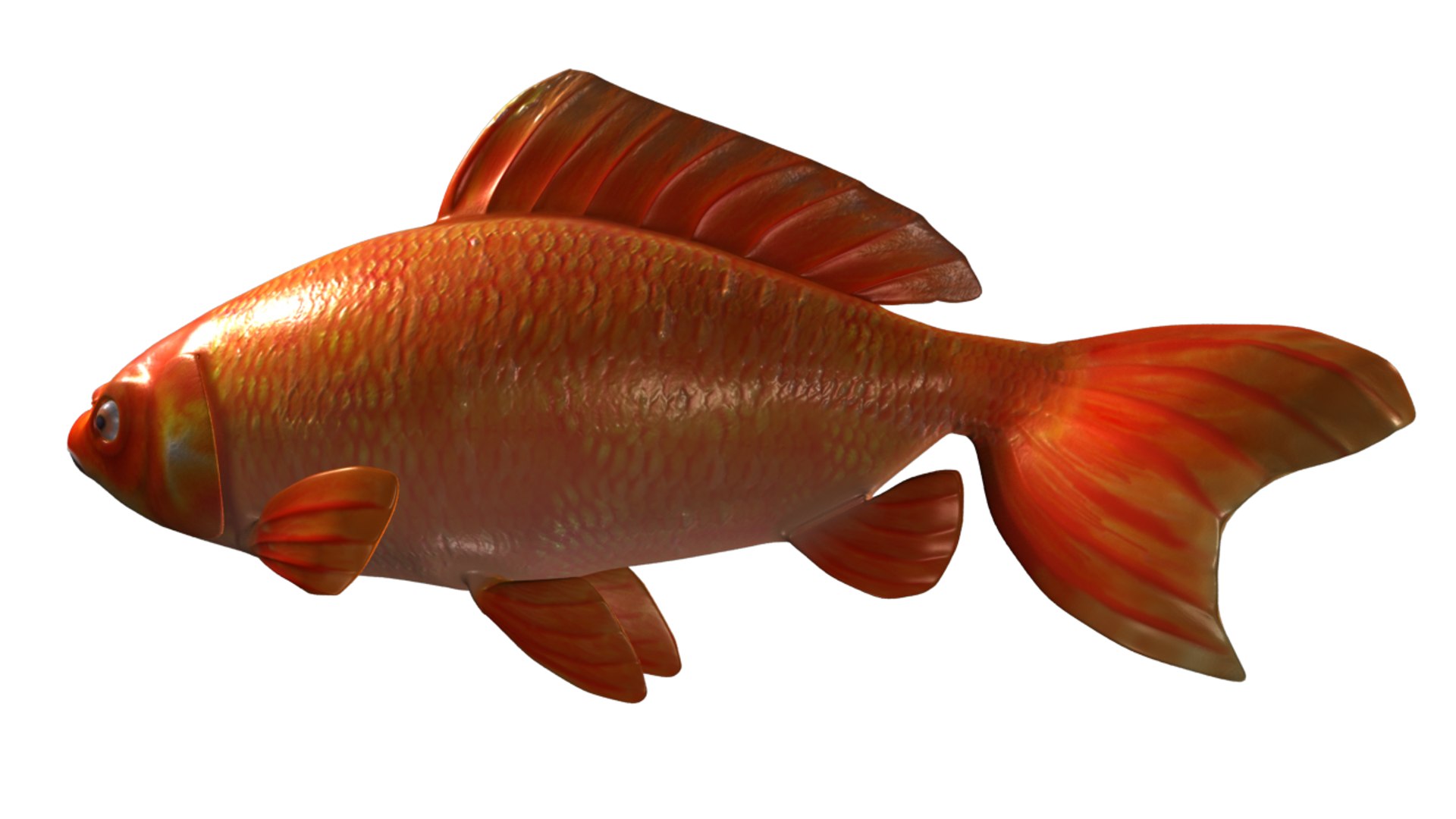 3d fish animals model