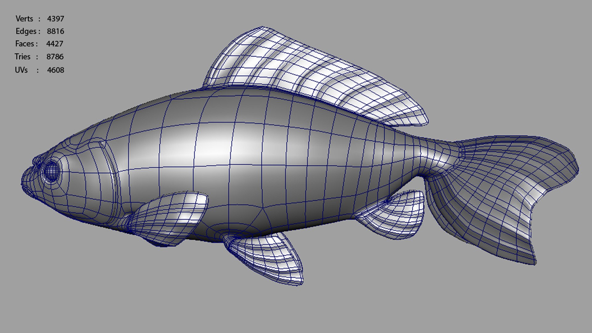 3d fish animals model