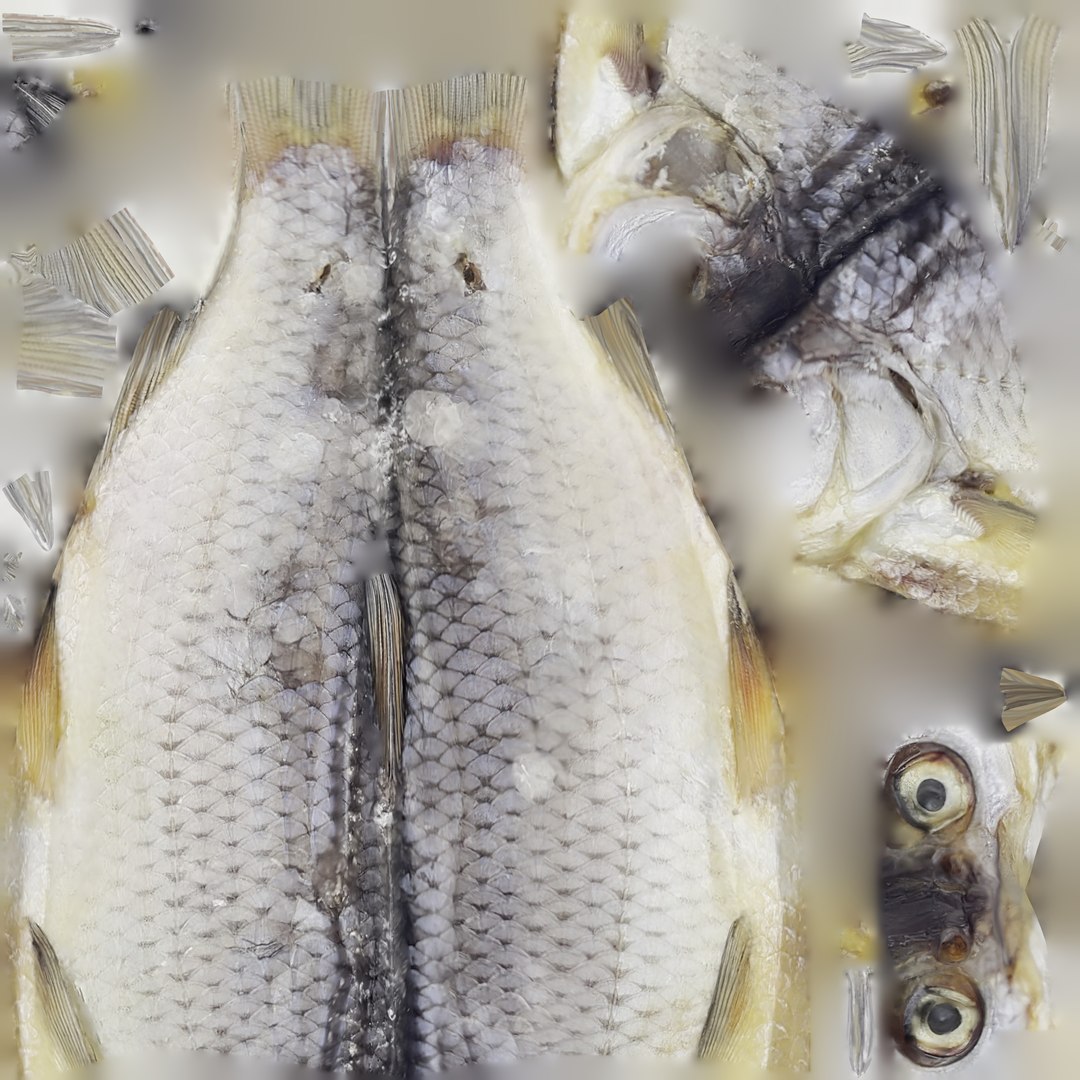3D Dry Fish Low-poly 3d Scan V2 Model - TurboSquid 2257646