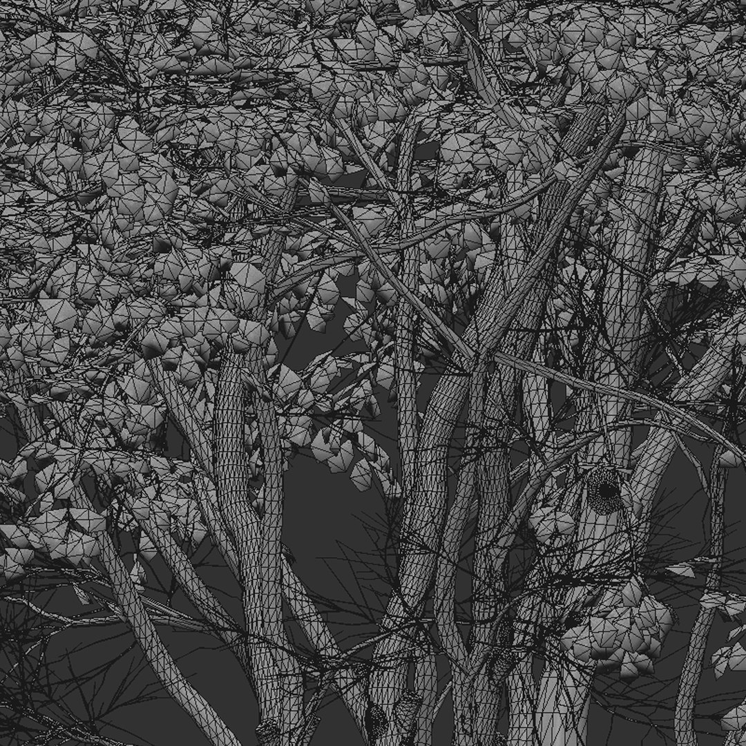 3D Set Of Amelanchier Or Shadbush Or Serviceberry Trees - 2 Trees ...