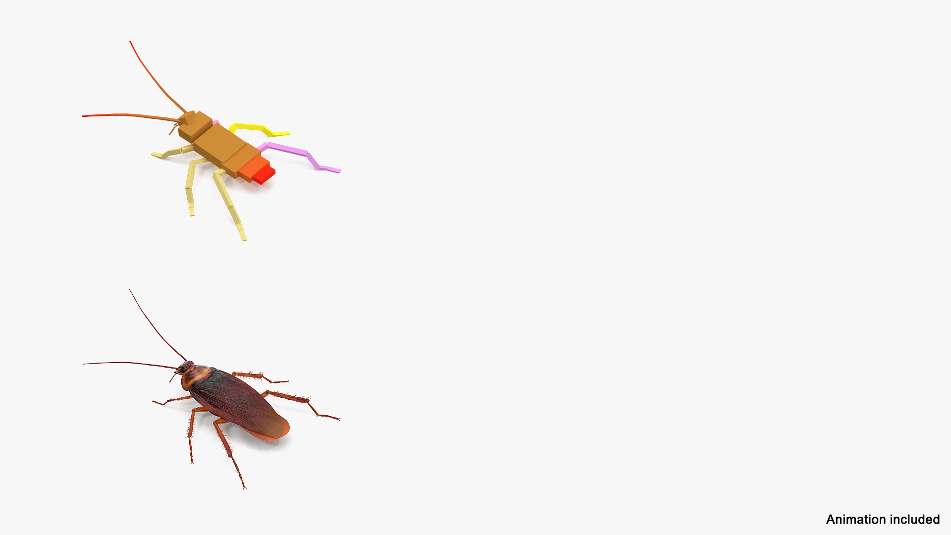 3D Cockroach Spinning Rigged Animation - TurboSquid 1486994