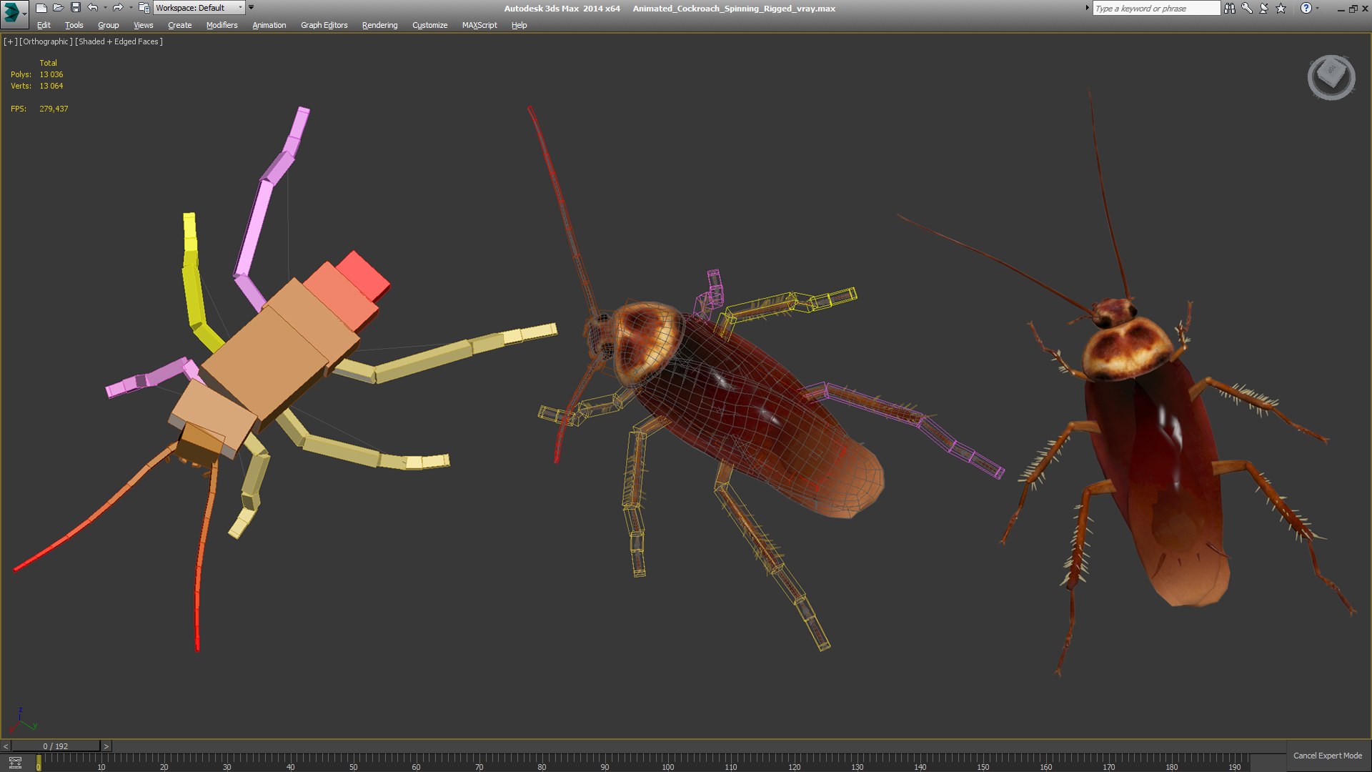 3D Cockroach Spinning Rigged Animation - TurboSquid 1486994