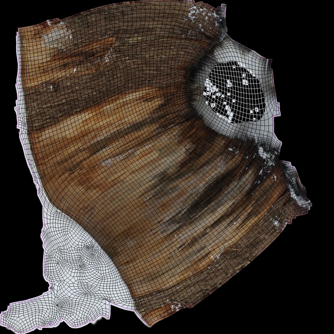 Tree Trunk Stump Snow Model - TurboSquid 1496794