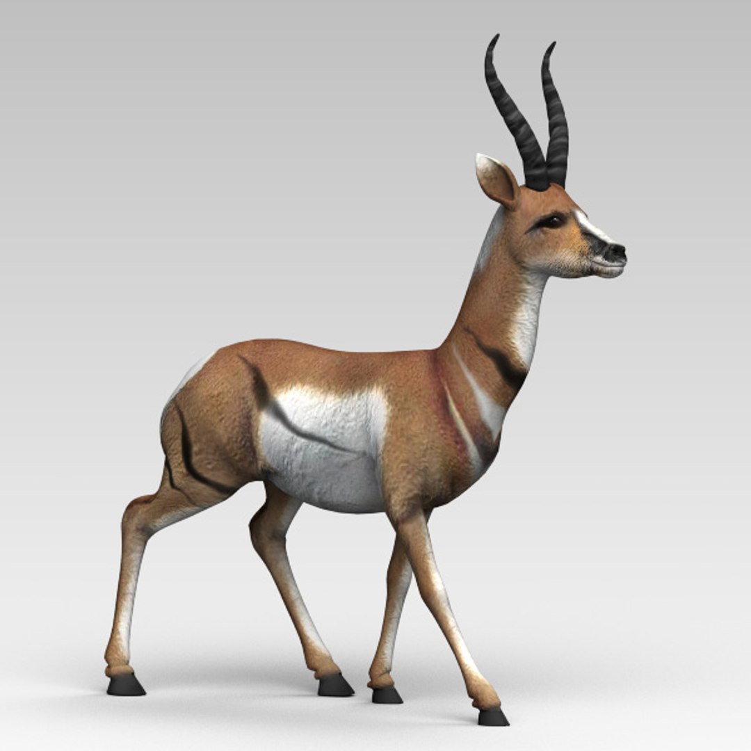 3d Antelope Poser Model