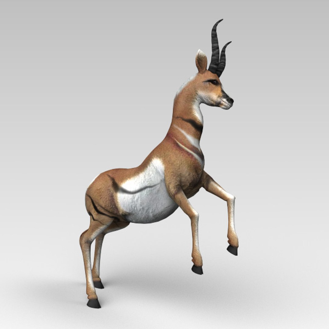 3d Antelope Poser Model