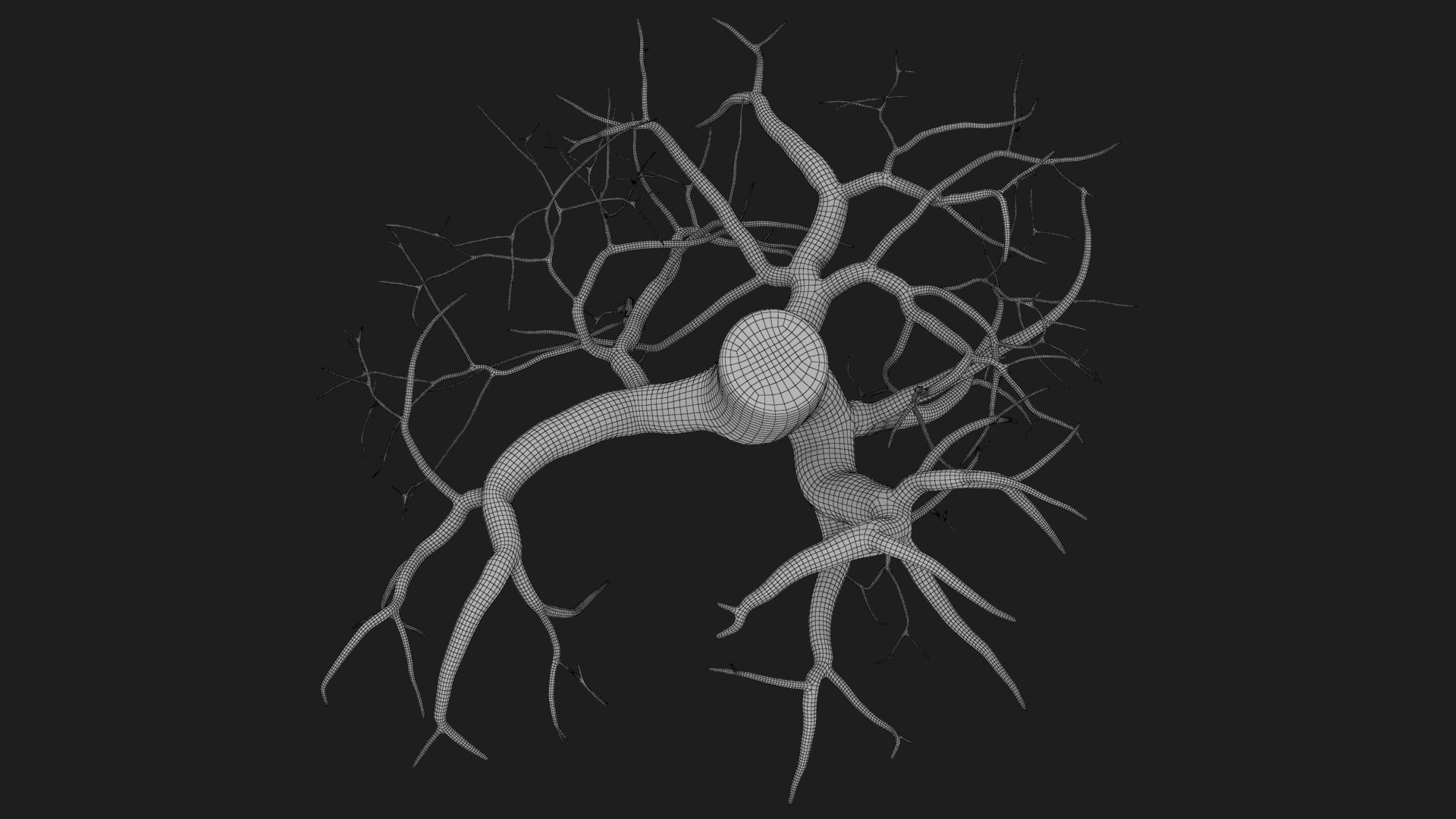 Tree Root 04 3D model - TurboSquid 2148564