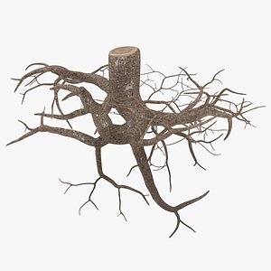 3D Tree Root Models - Browse & Download Formats - TurboSquid