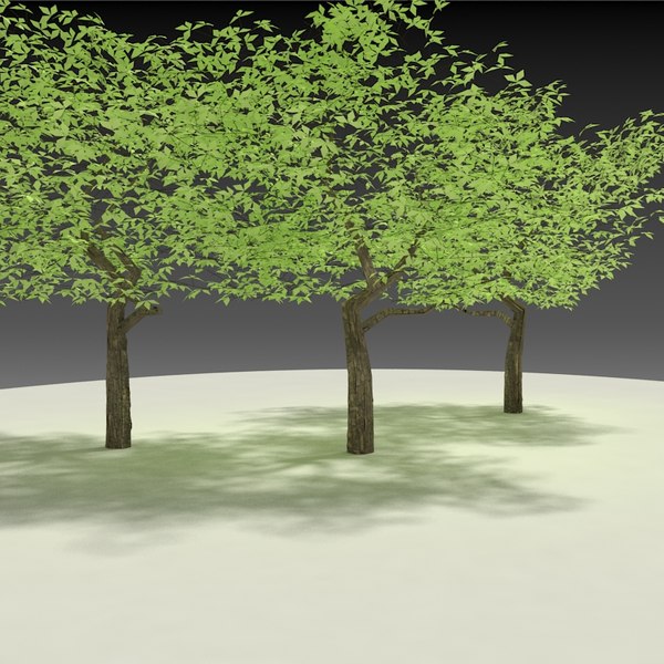 3D tree forest model - TurboSquid 1217077