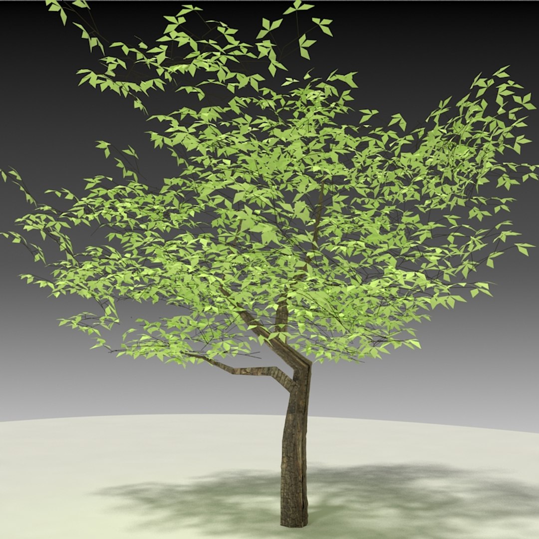3D tree forest model - TurboSquid 1217077