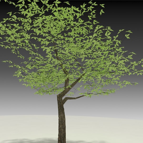 3D tree forest model - TurboSquid 1217077