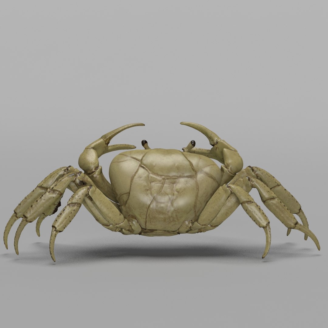 max crab