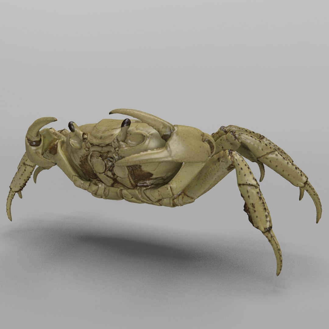 max crab