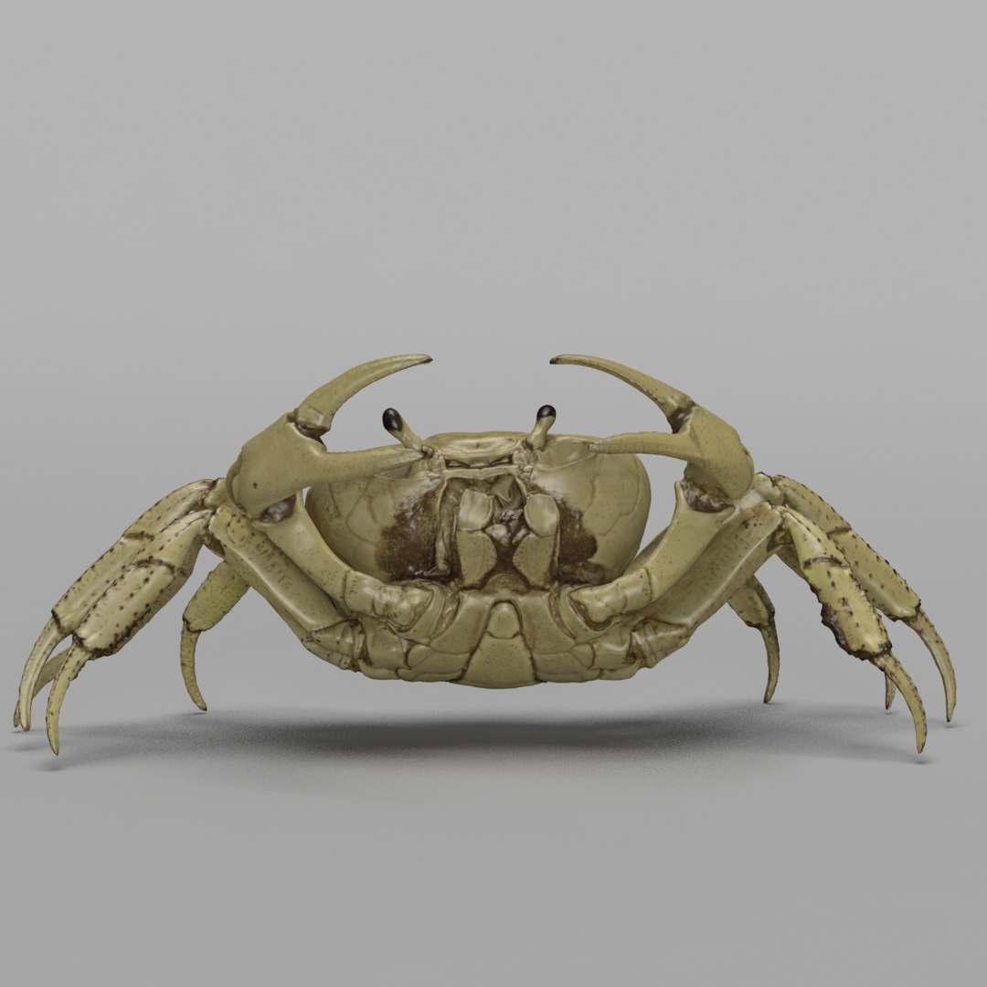 Max Crab