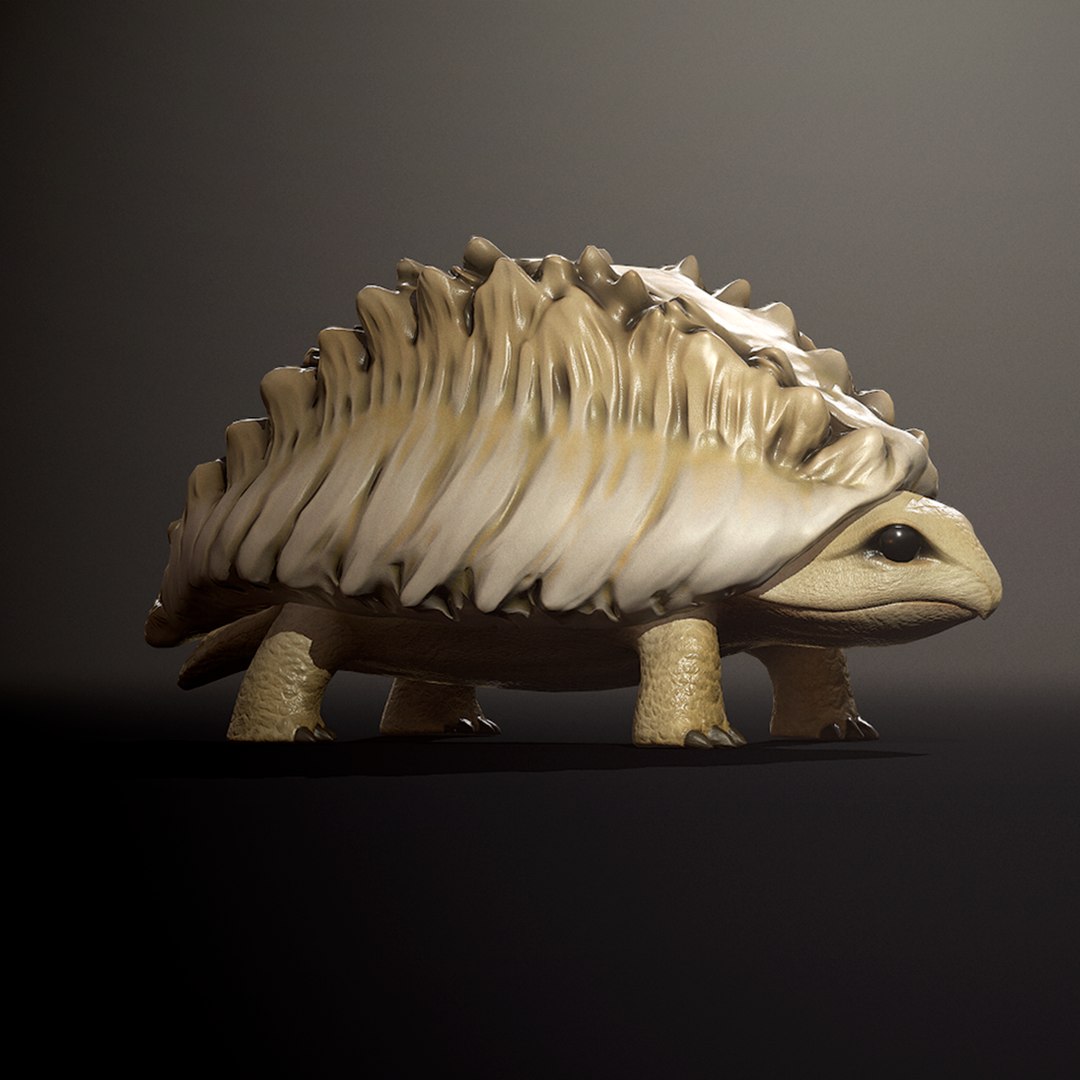 3D Tortoise1 - TurboSquid 2126208