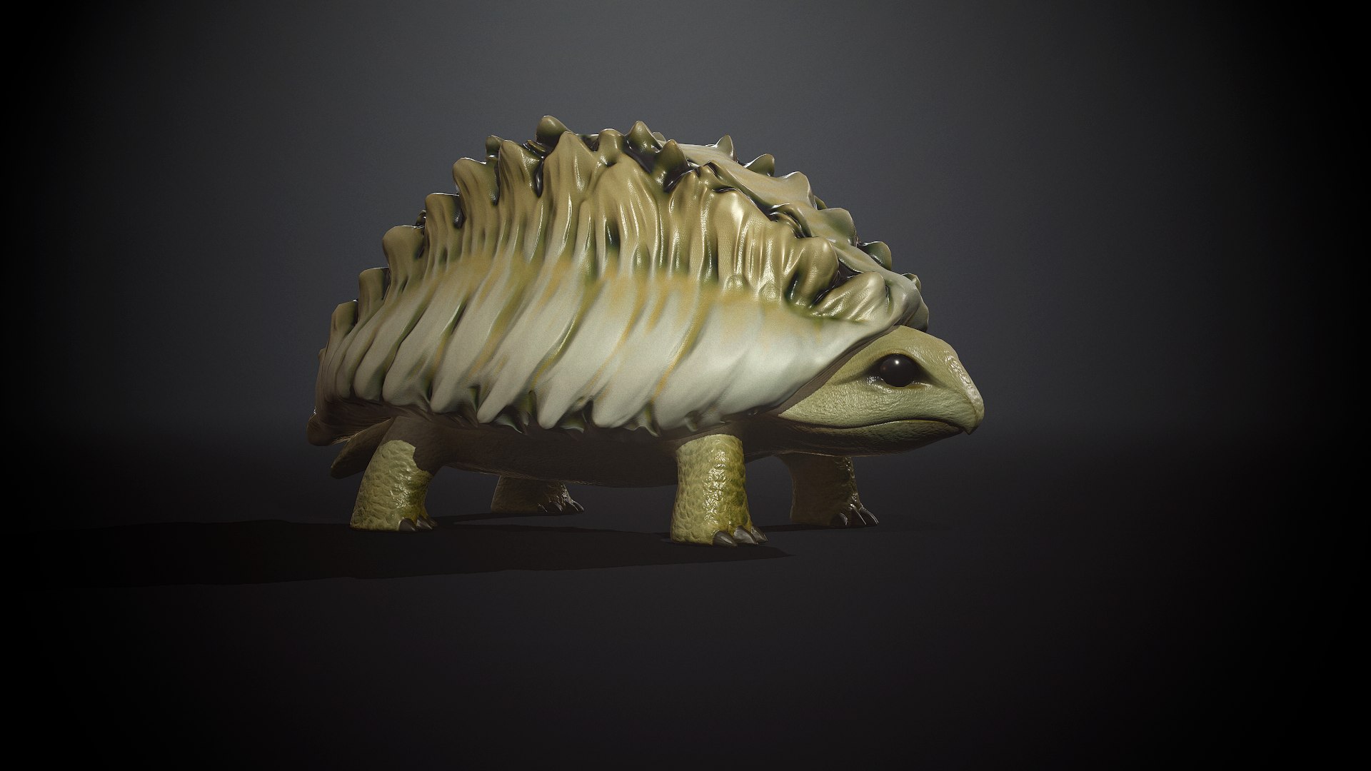 3D Tortoise1 - TurboSquid 2126208