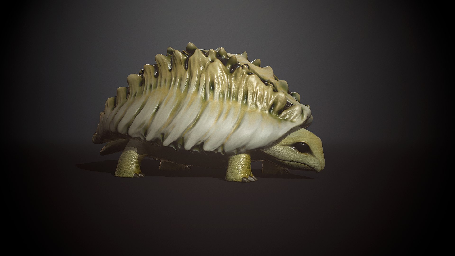 3D Tortoise1 - TurboSquid 2126208