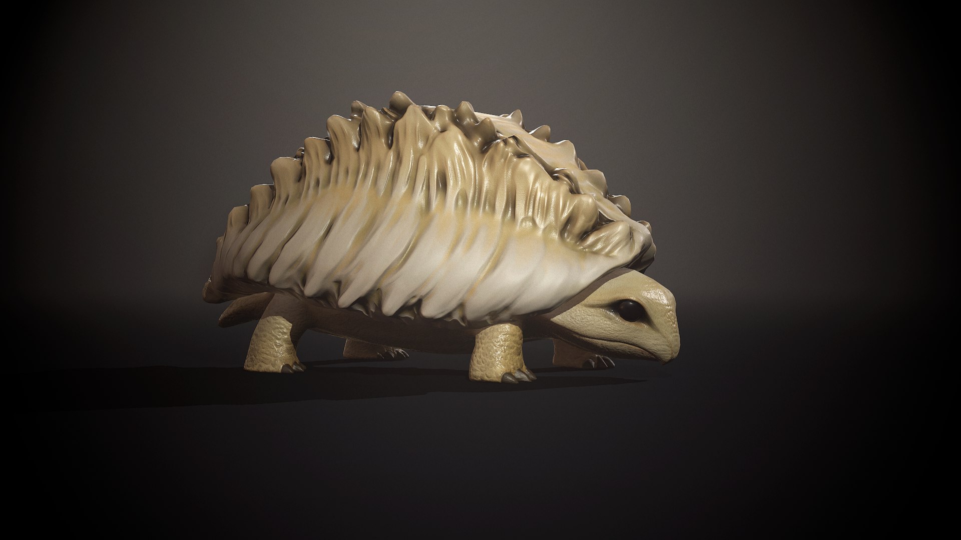 3D Tortoise1 - TurboSquid 2126208